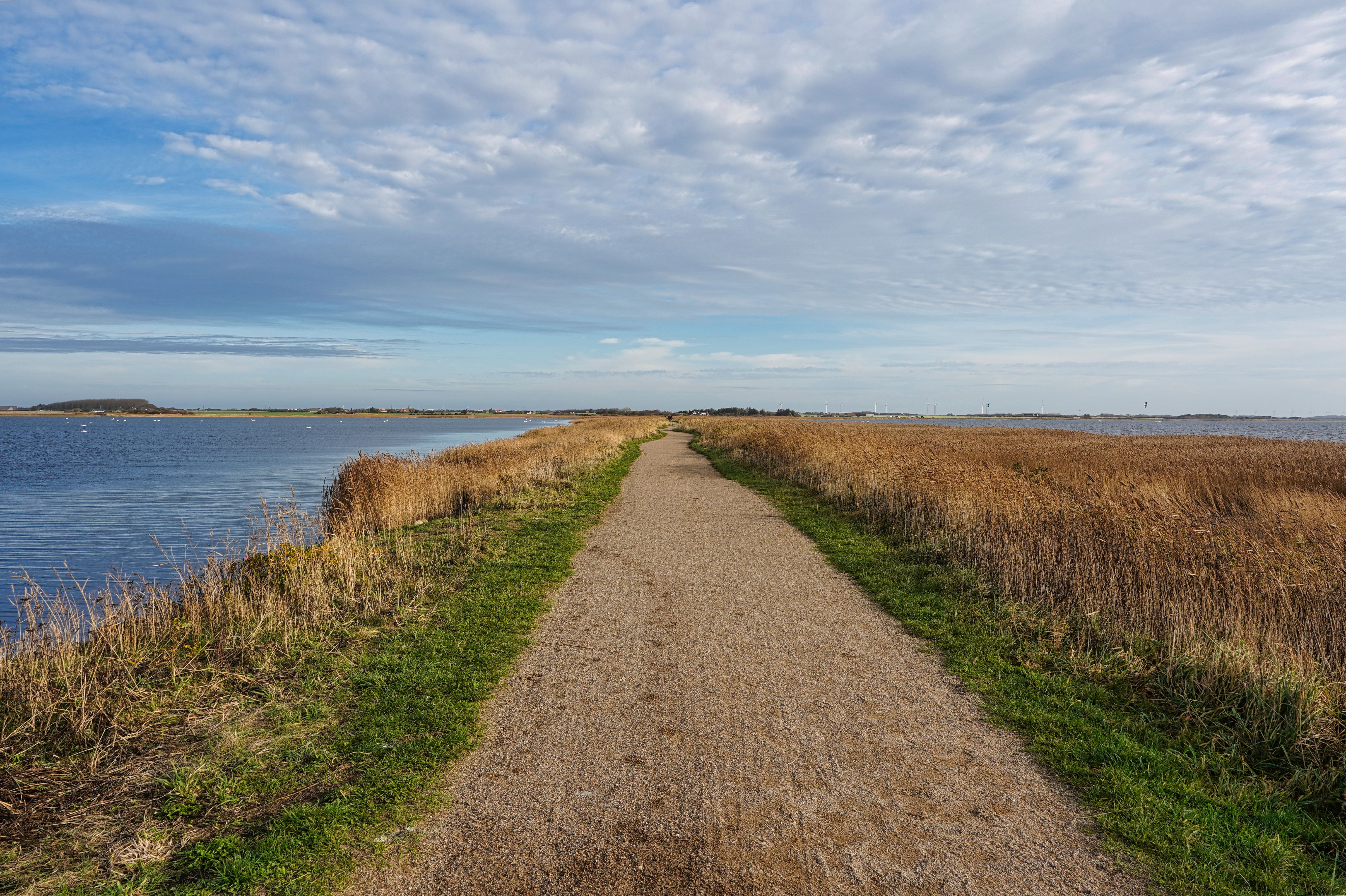 Scenic Coastal Pathway in Søndervig, Denmark · Free Stock Photo