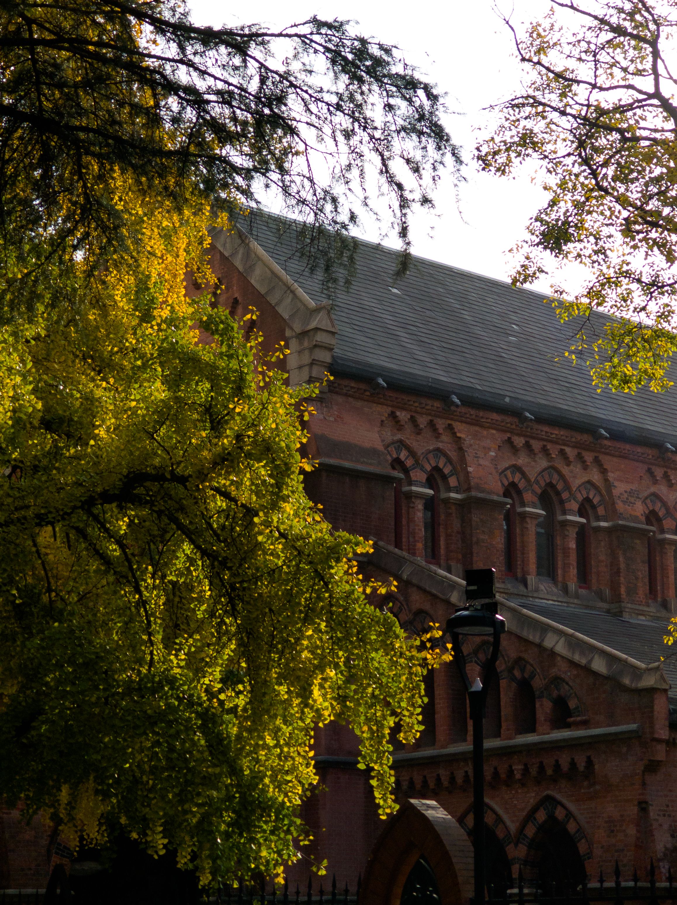 Historic Brick Building with Autumn Foliage · Free Stock Photo