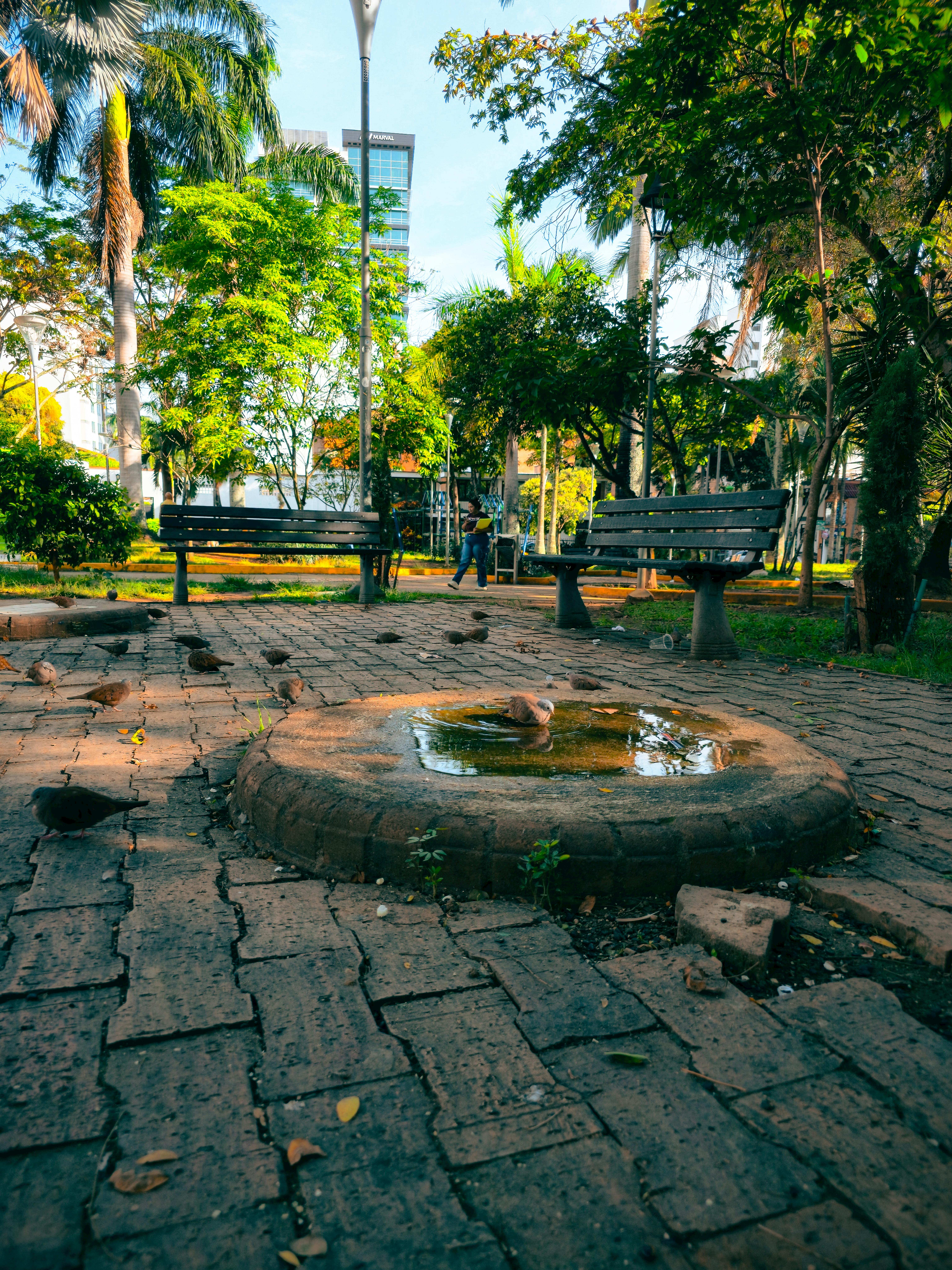 Colombia Photos, Download The BEST Free Colombia Stock Photos & HD Images