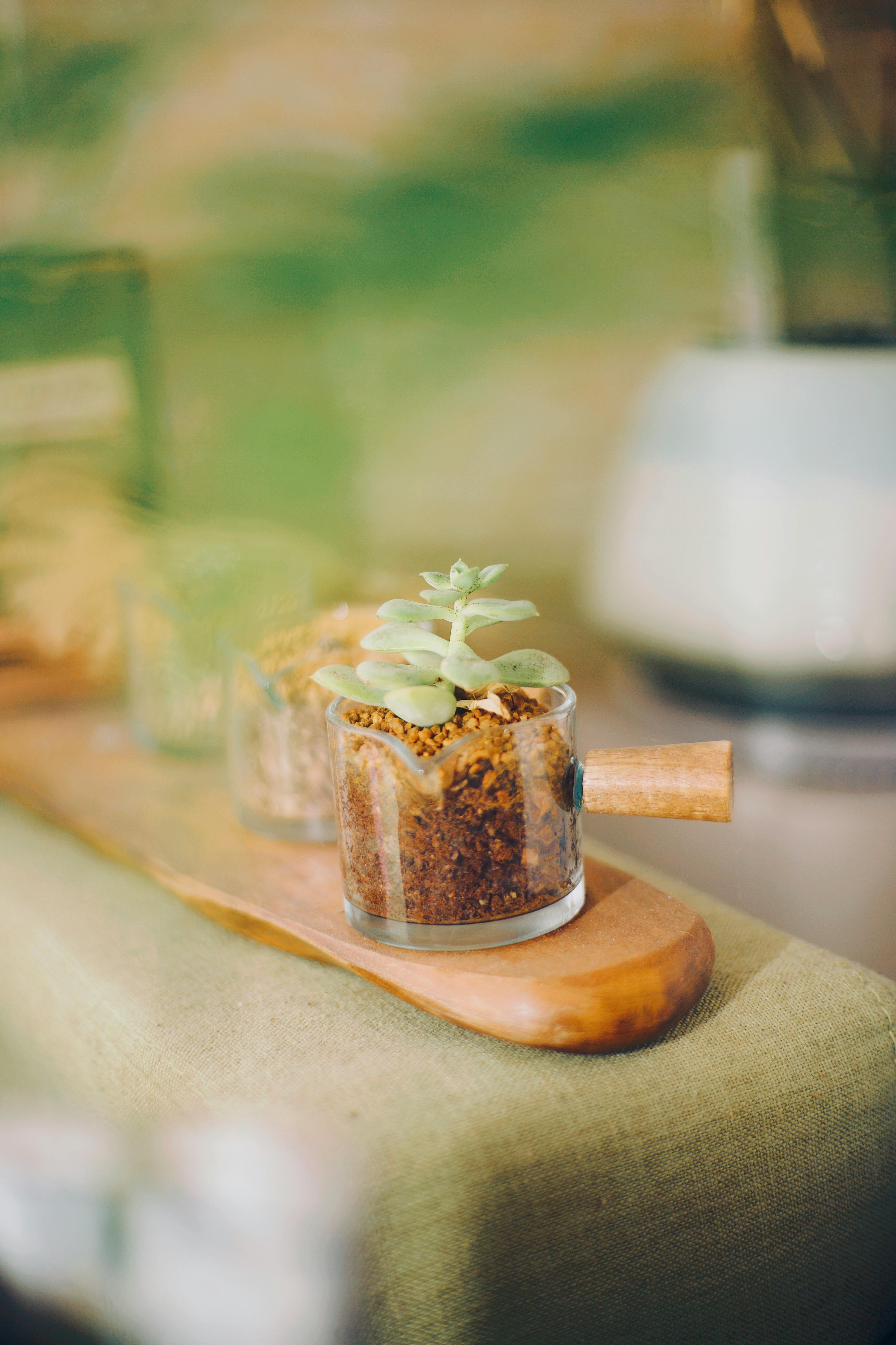 Very,+Very+Small Photos, Download The BEST Free Very,+Very+Small Stock ...