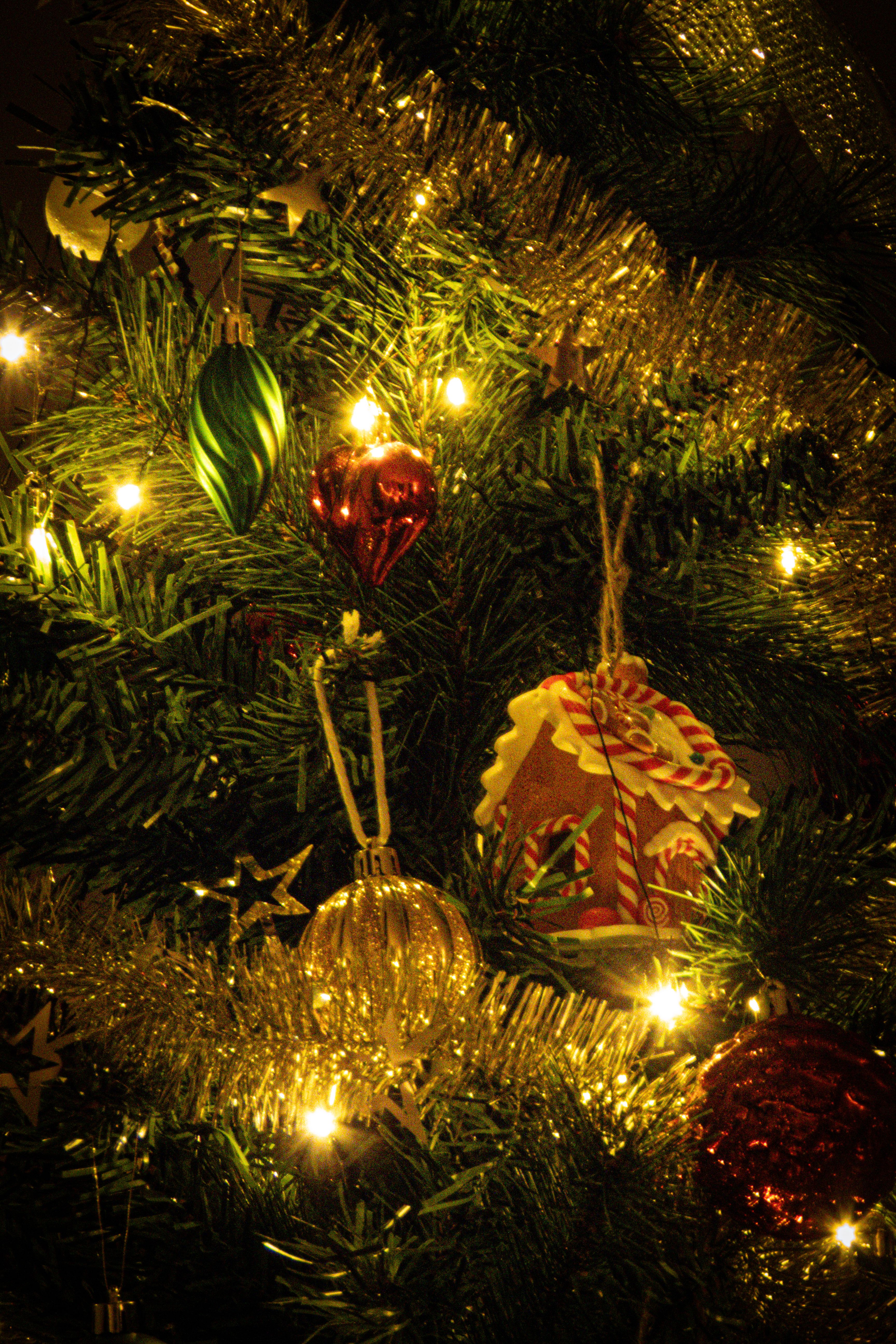 Shallow Focus Photography Of Green Christmas Tree · Free Stock Photo