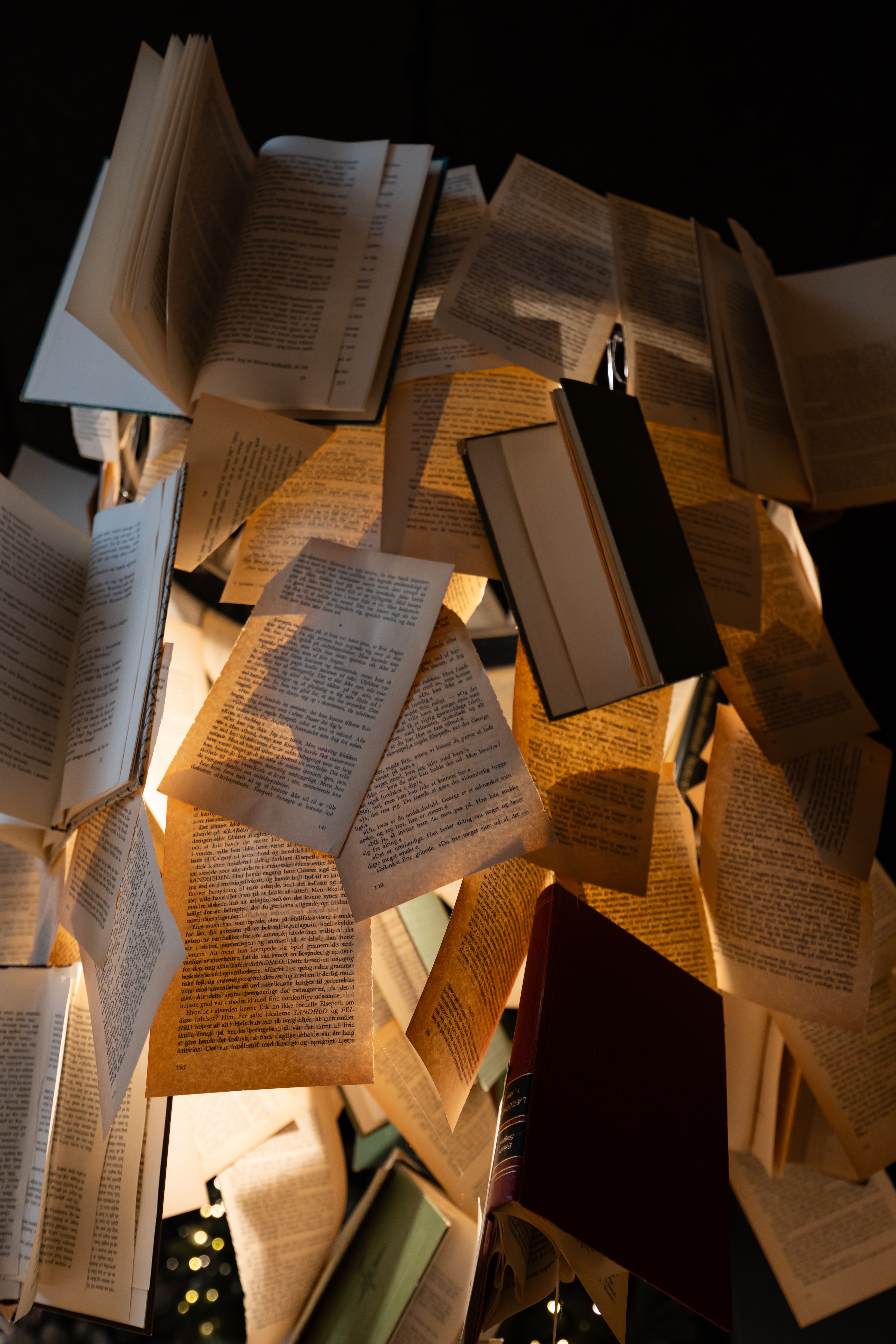 Artistic Display of Open Books with Dramatic Light · Free Stock Photo