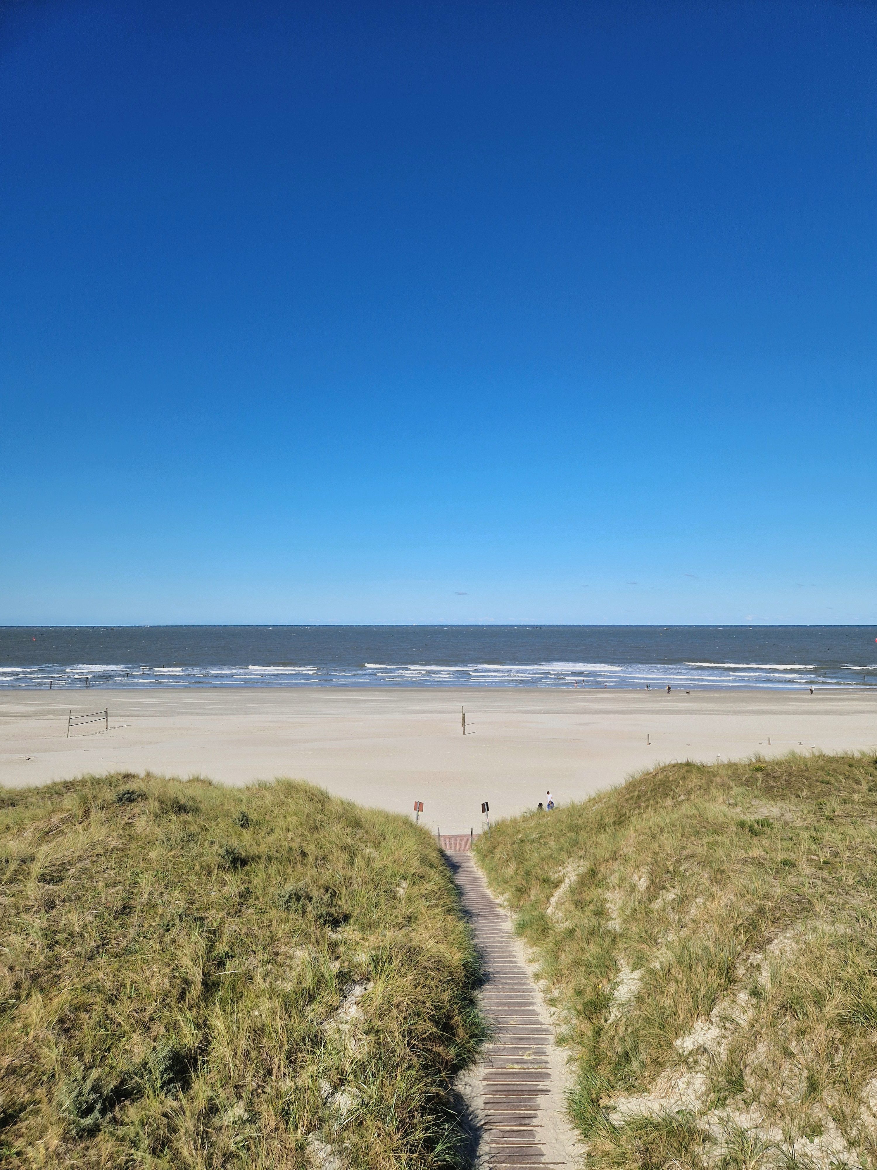 Picturesque Beach Pathway to North Sea · Free Stock Photo