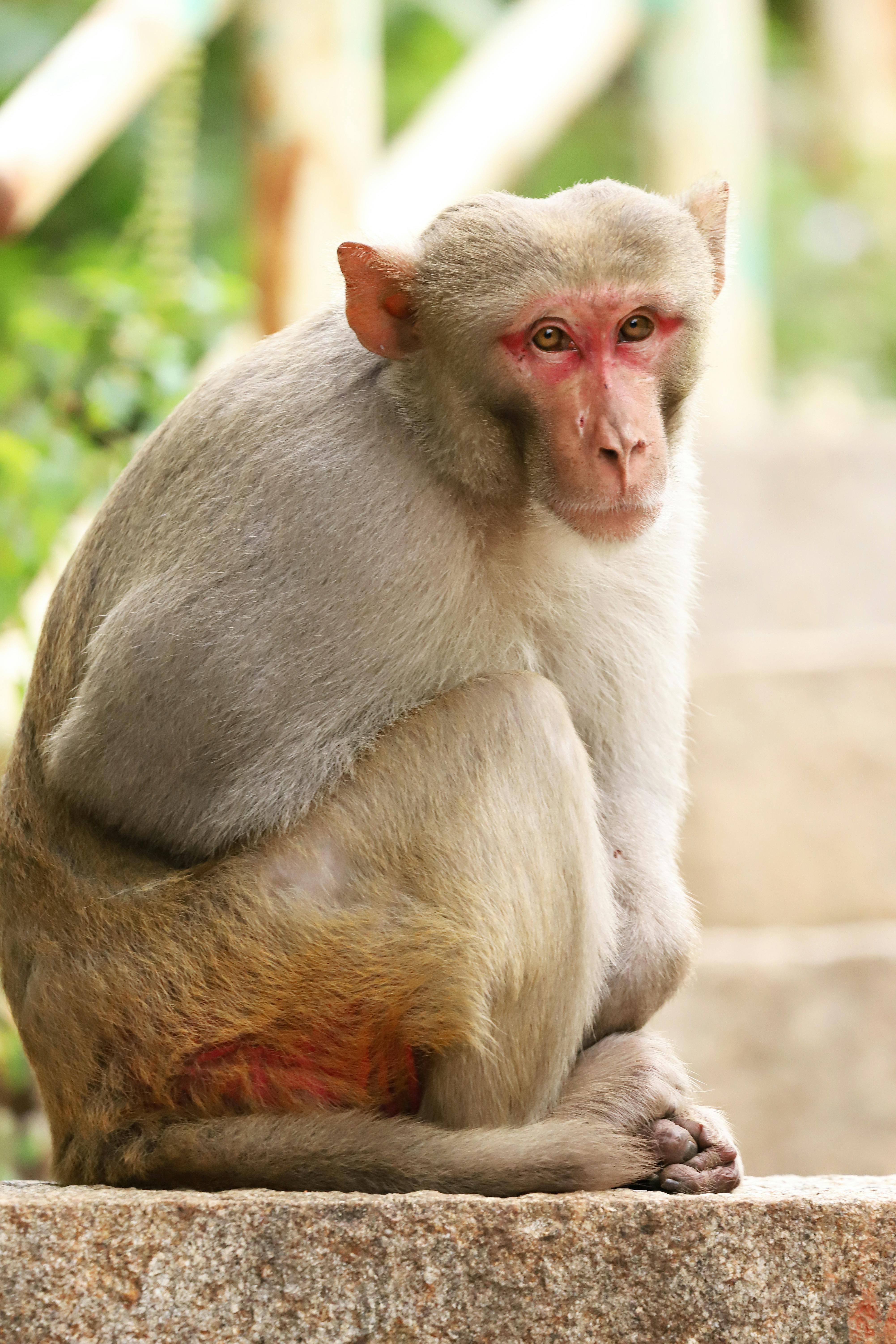 Indian+Bazaar Photos, Download The BEST Free Indian+Bazaar Stock Photos ...