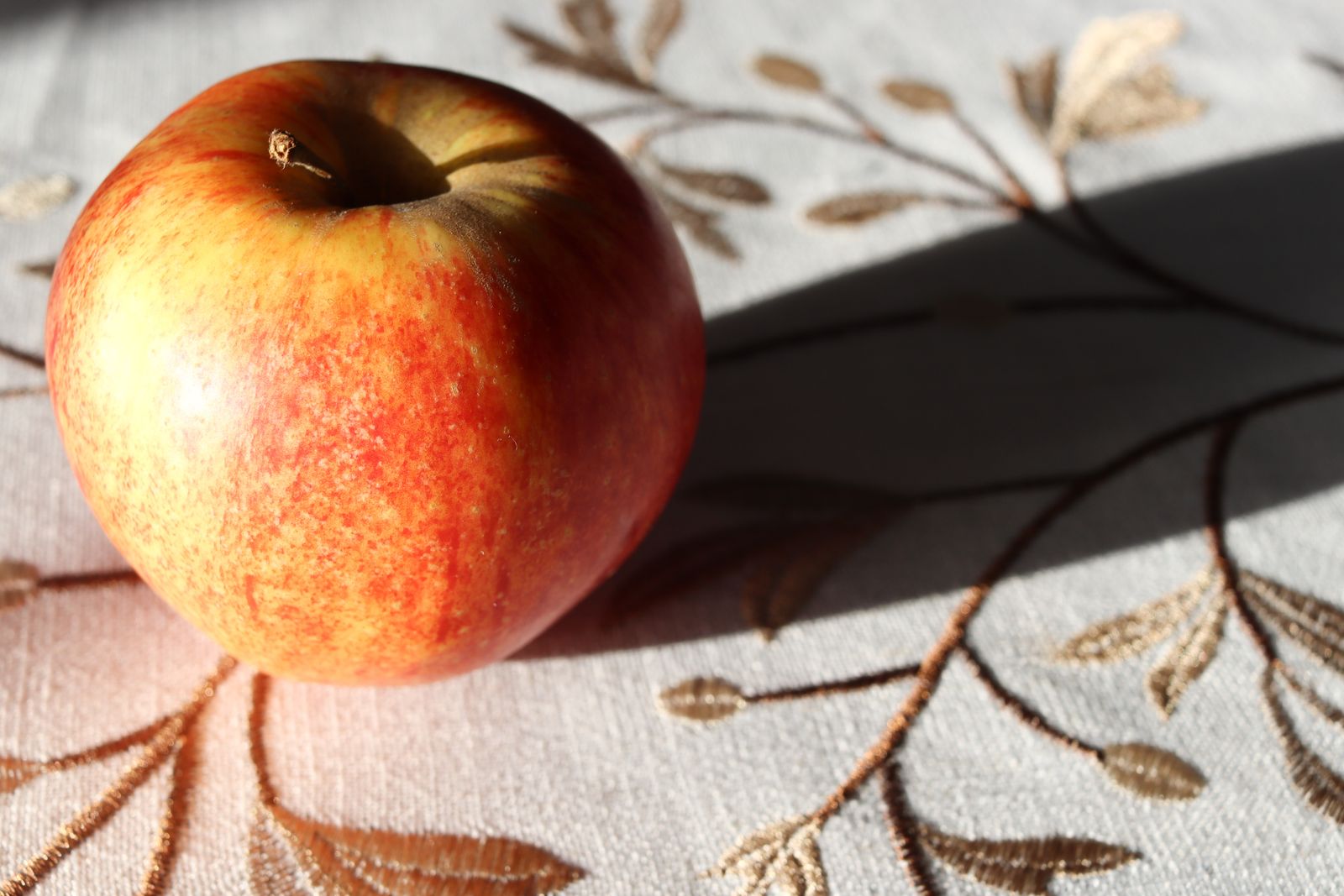 Apple Fruit Photos, Download The BEST Free Apple Fruit Stock Photos ...