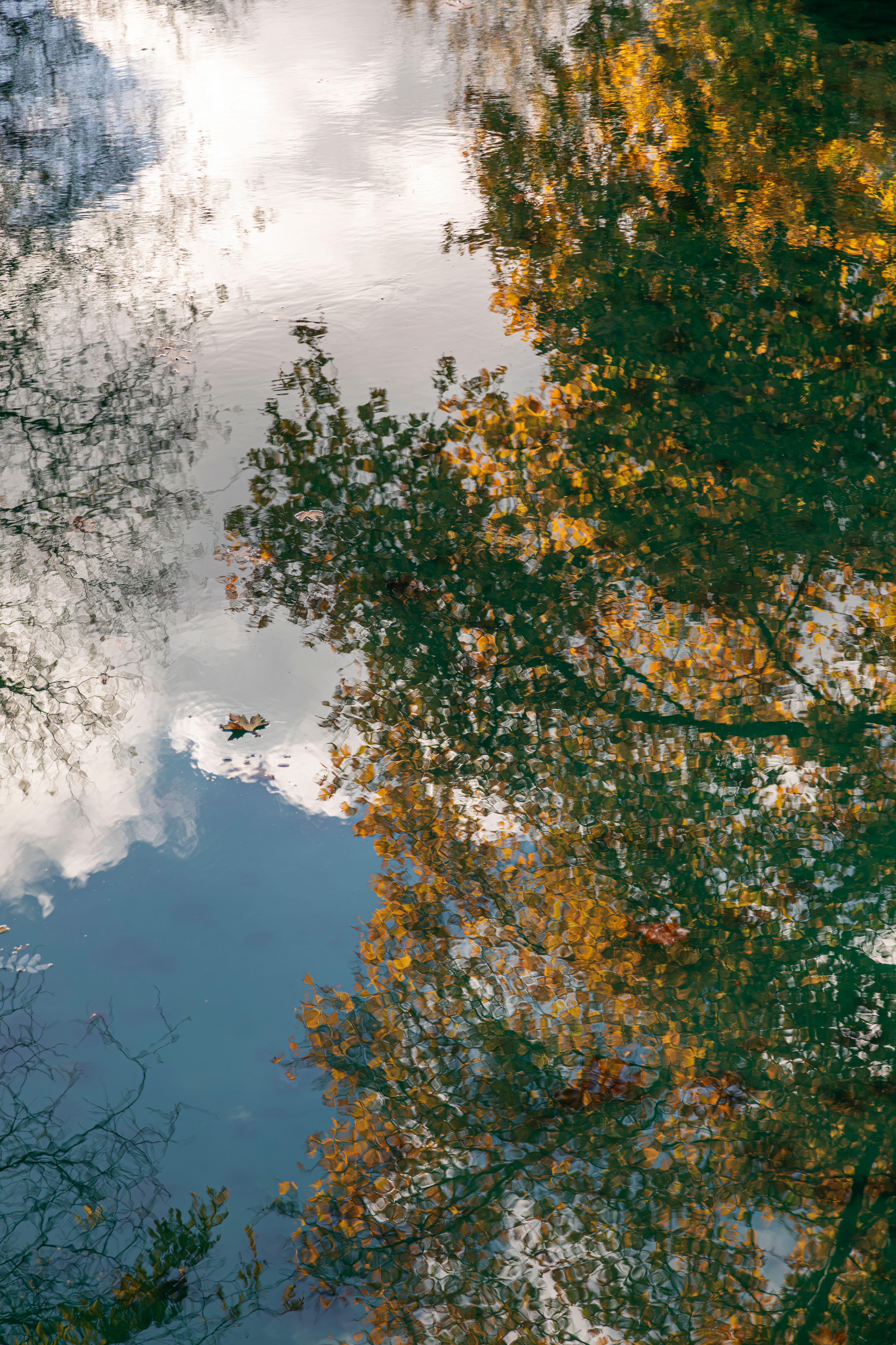 Autumn Leaves Reflecting on a Serene Lake in Konya · Free Stock Photo