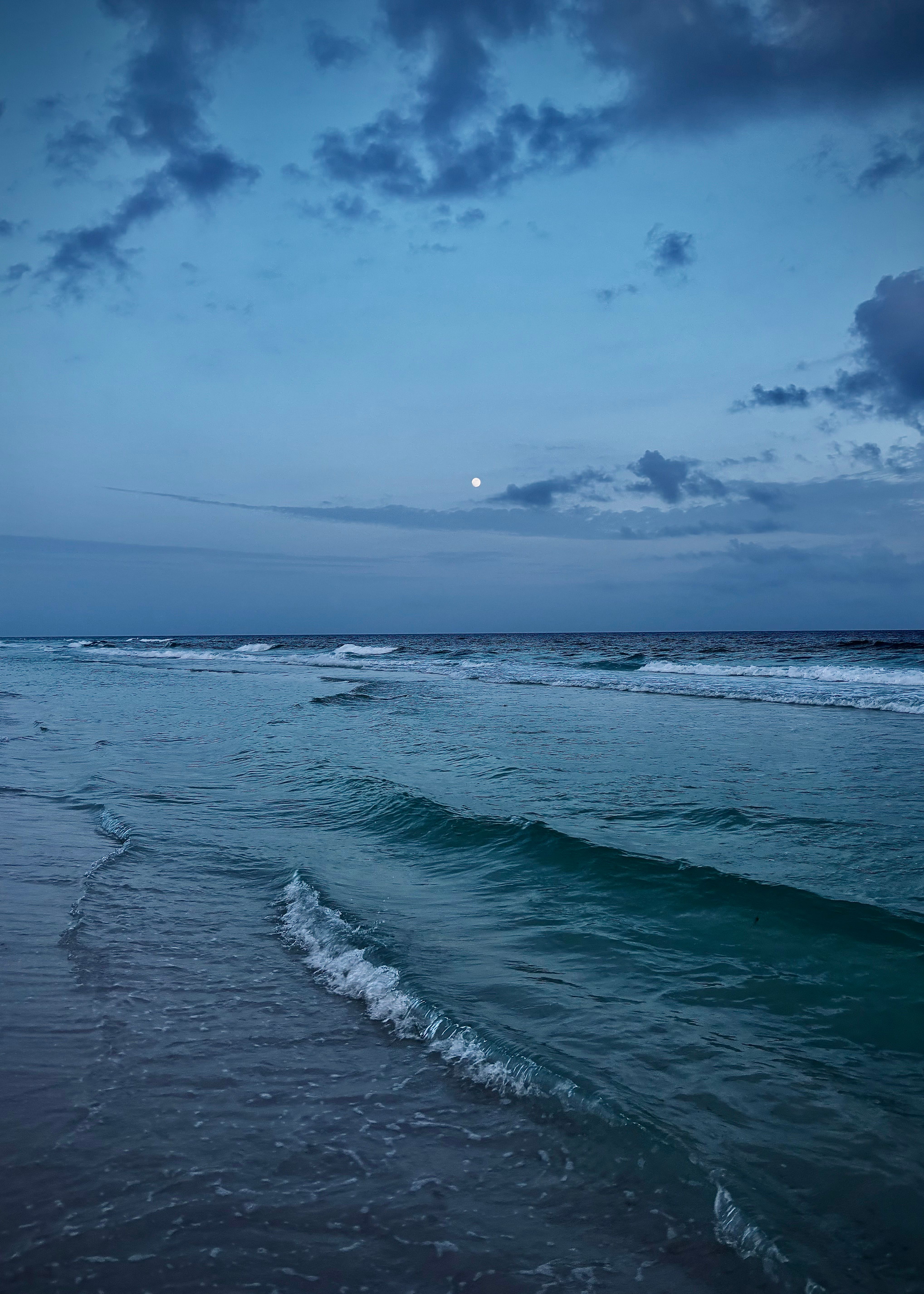 Serene Moonlit Beach at Twilight · Free Stock Photo
