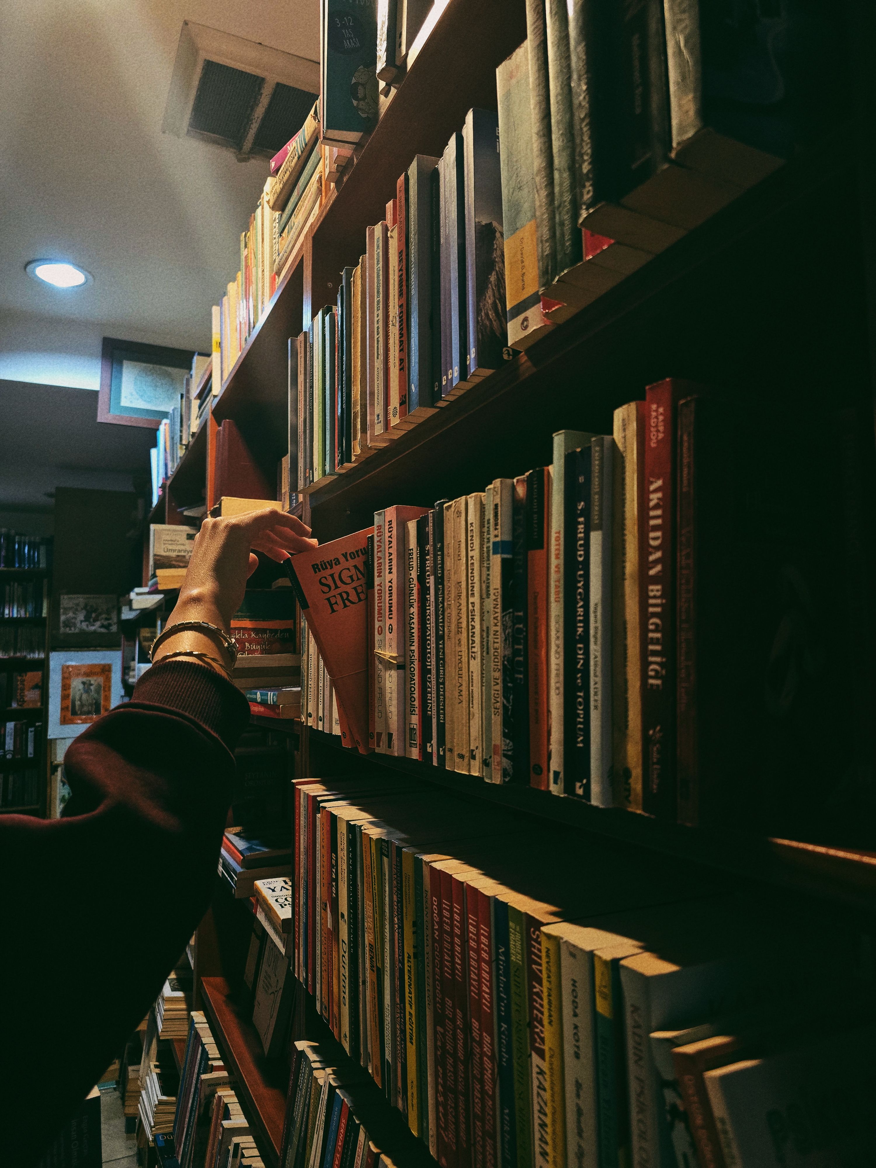 Library Aesthetic Photos, Download The BEST Free Library Aesthetic ...