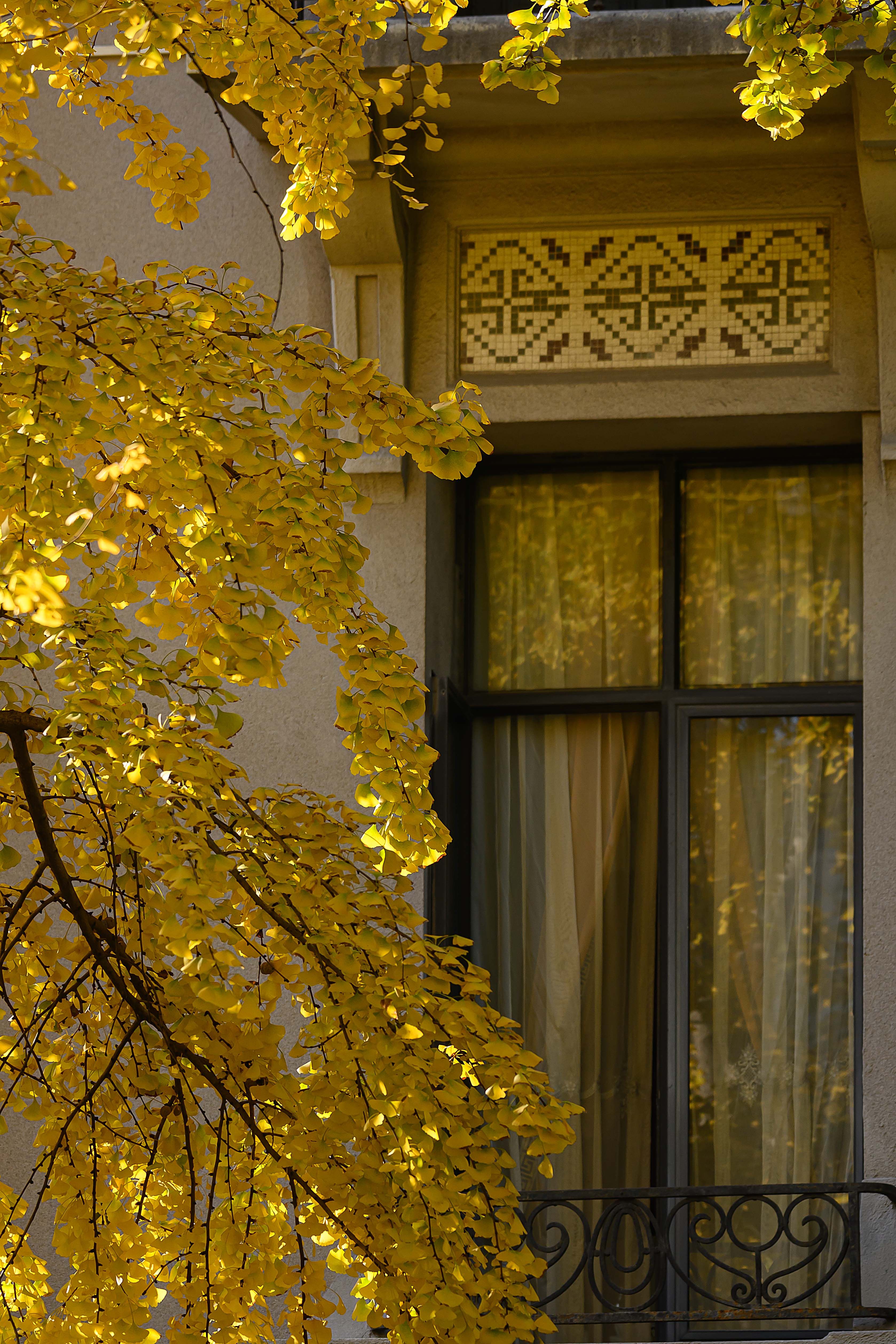 Curtains Falling Photos, Download The BEST Free Curtains Falling Stock ...