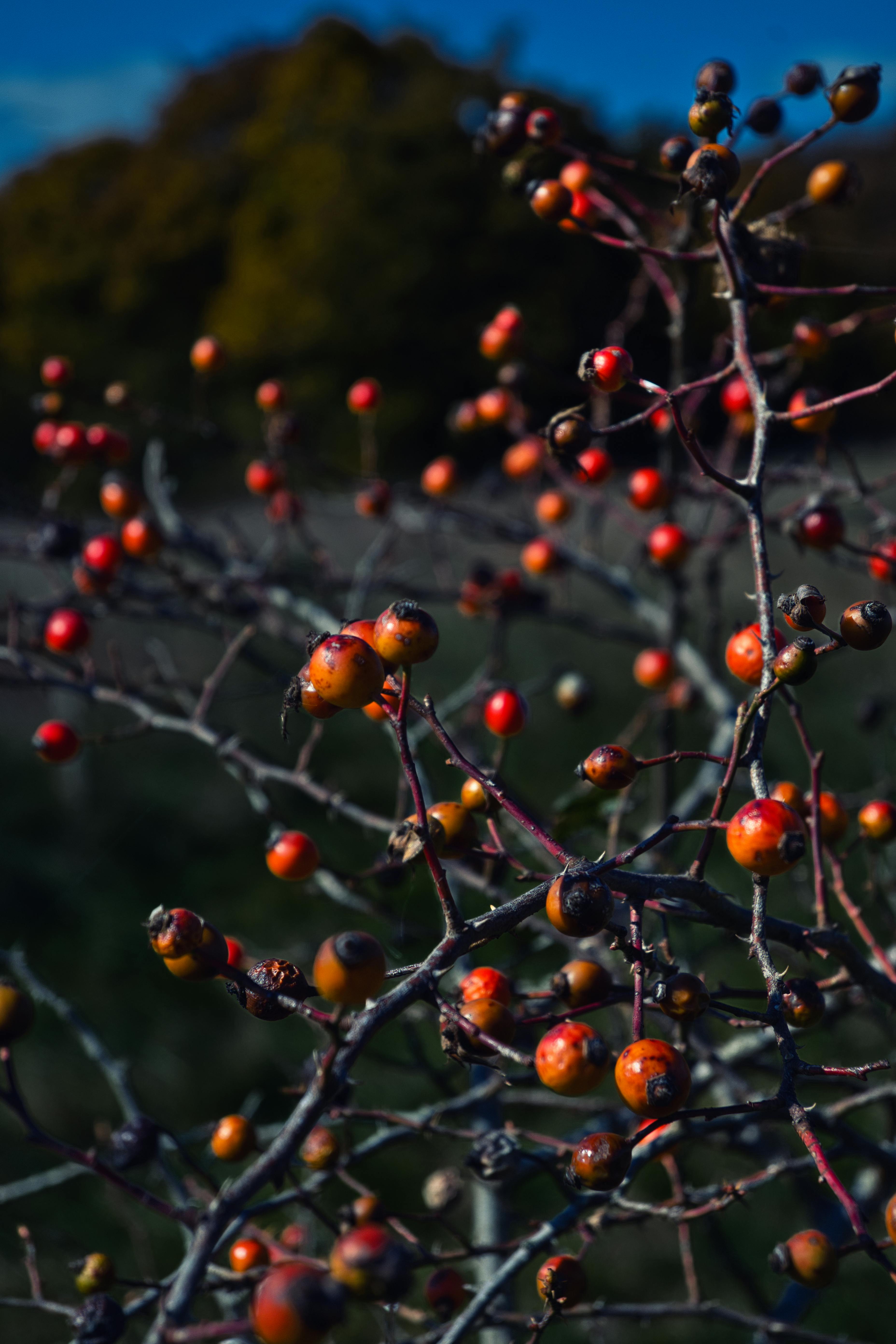 Demo Background Photos, Download The BEST Free Demo Background Stock ...