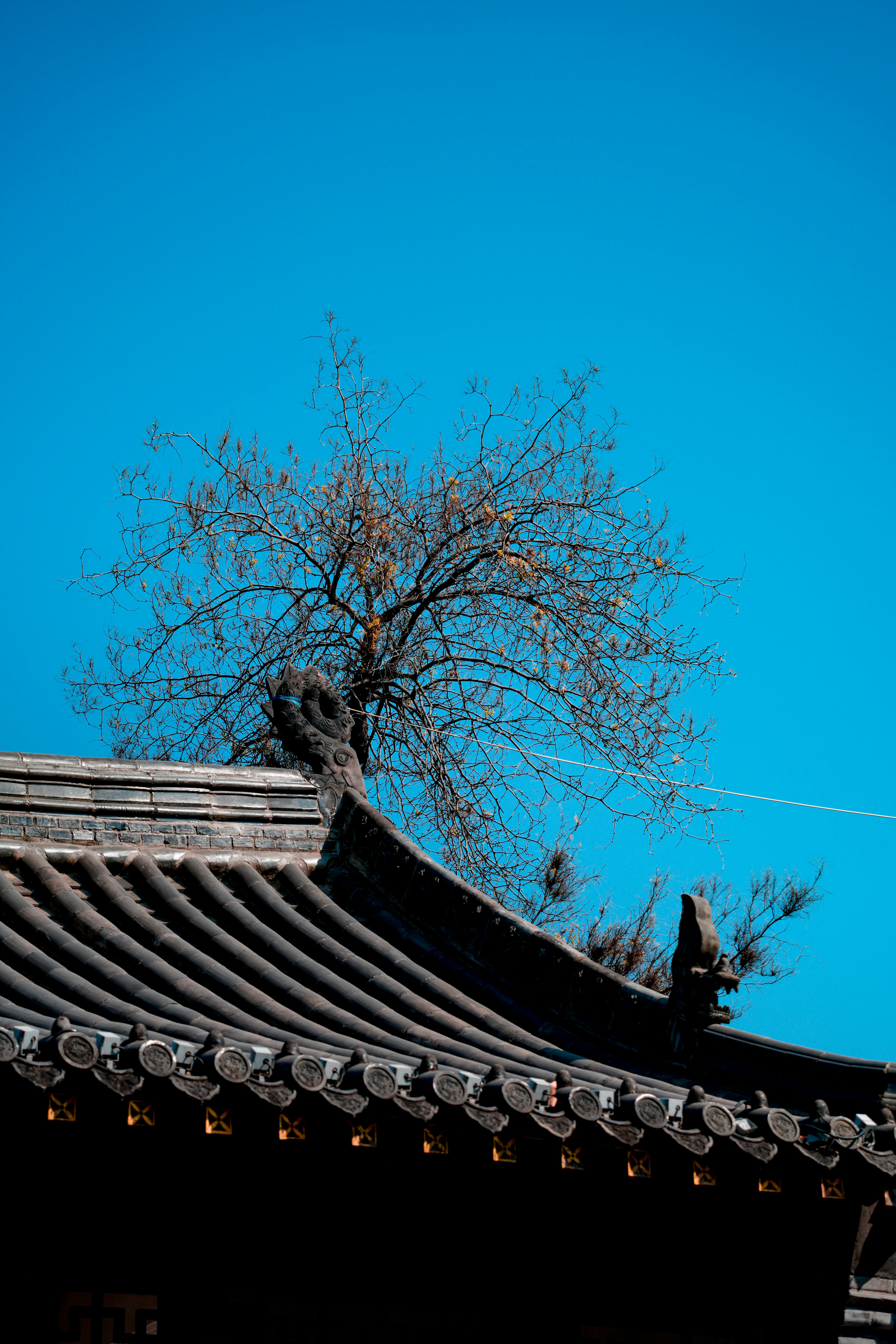 Asian+Pfp+Aesthetic Photos, Download The BEST Free Asian+Pfp+Aesthetic ...