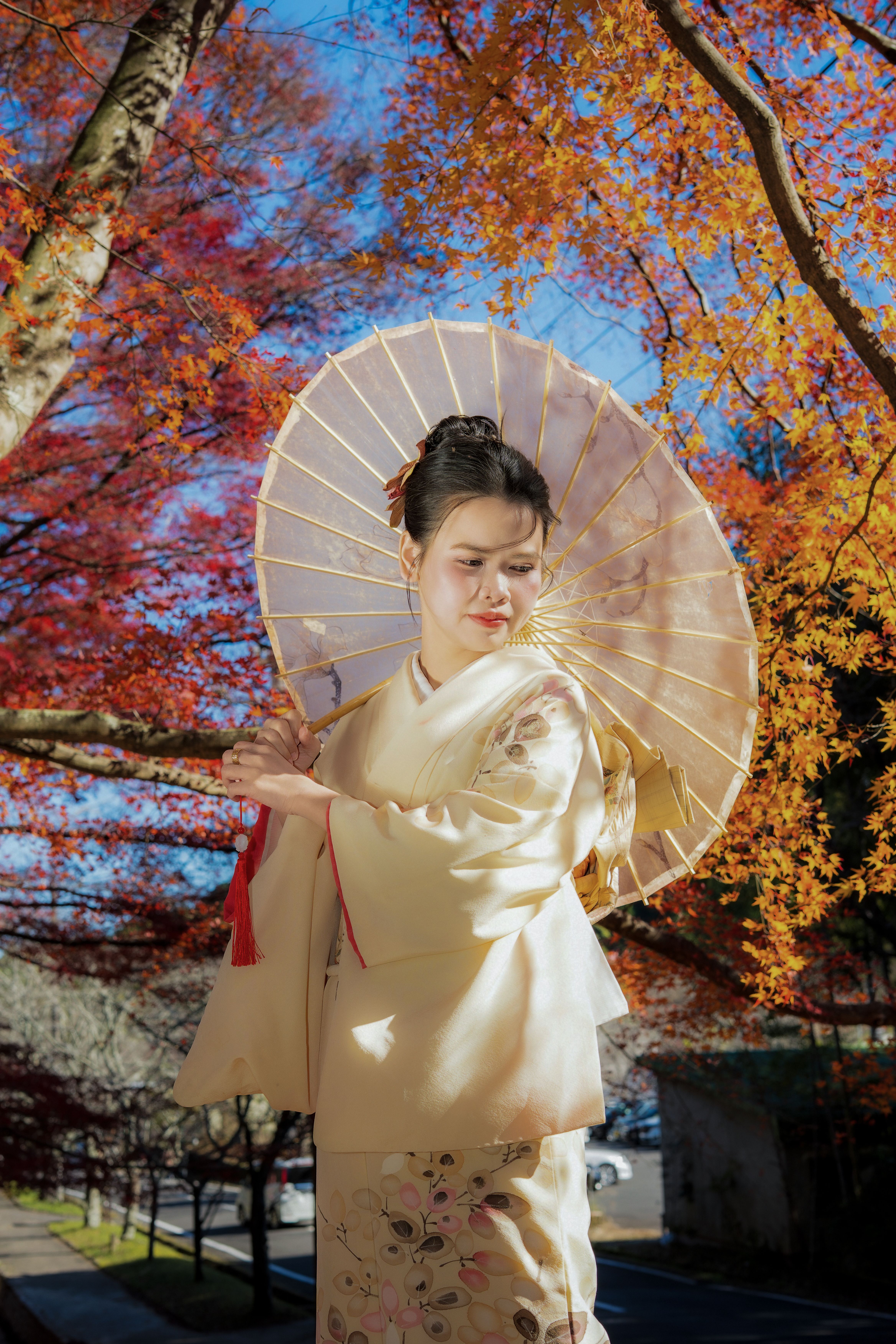 Japanese Turn Photos, Download The BEST Free Japanese Turn Stock Photos ...