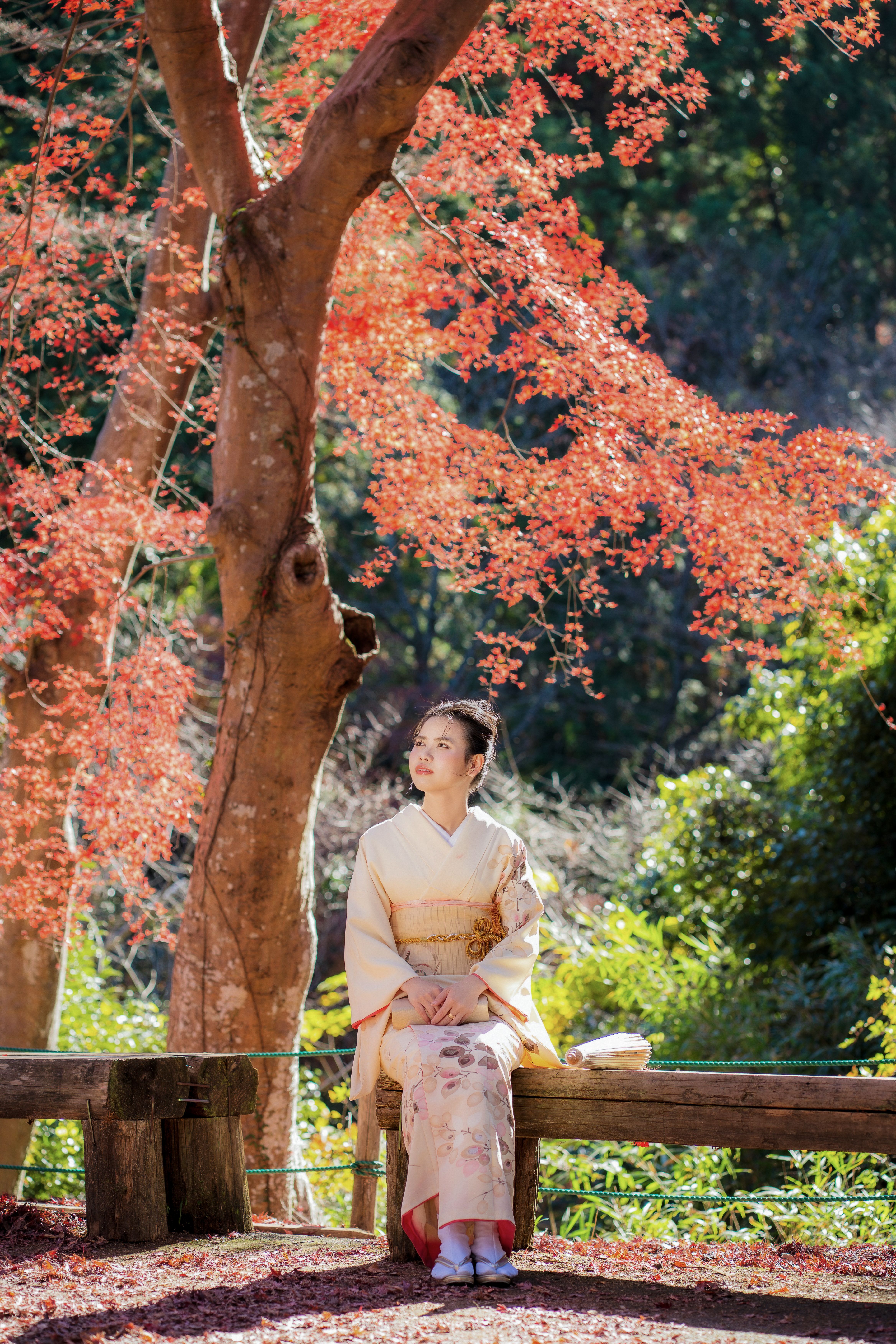 Japanese Turn Photos, Download The BEST Free Japanese Turn Stock Photos ...