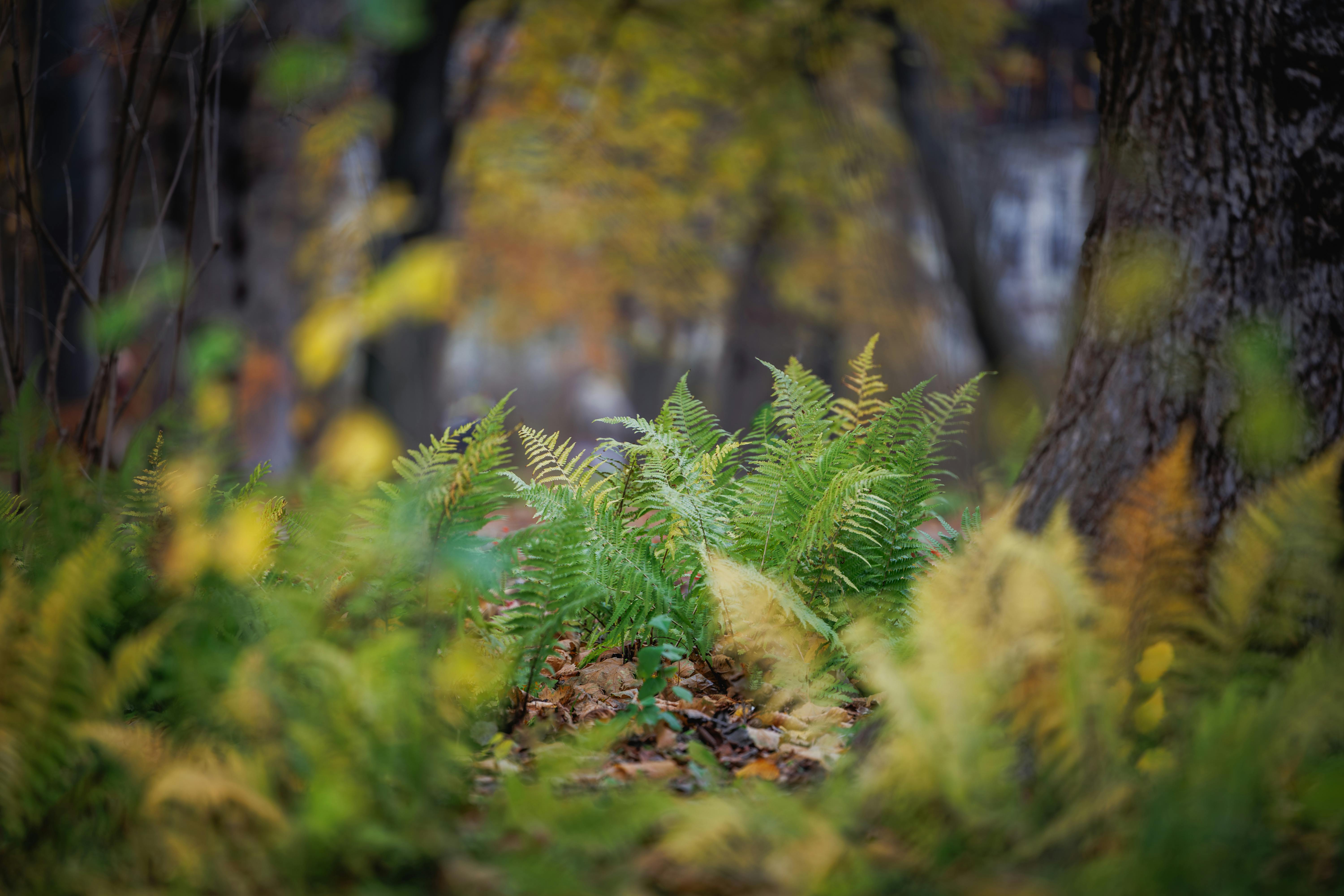 Capgemini+Wallpaper Photos, Download The BEST Free Capgemini+Wallpaper ...