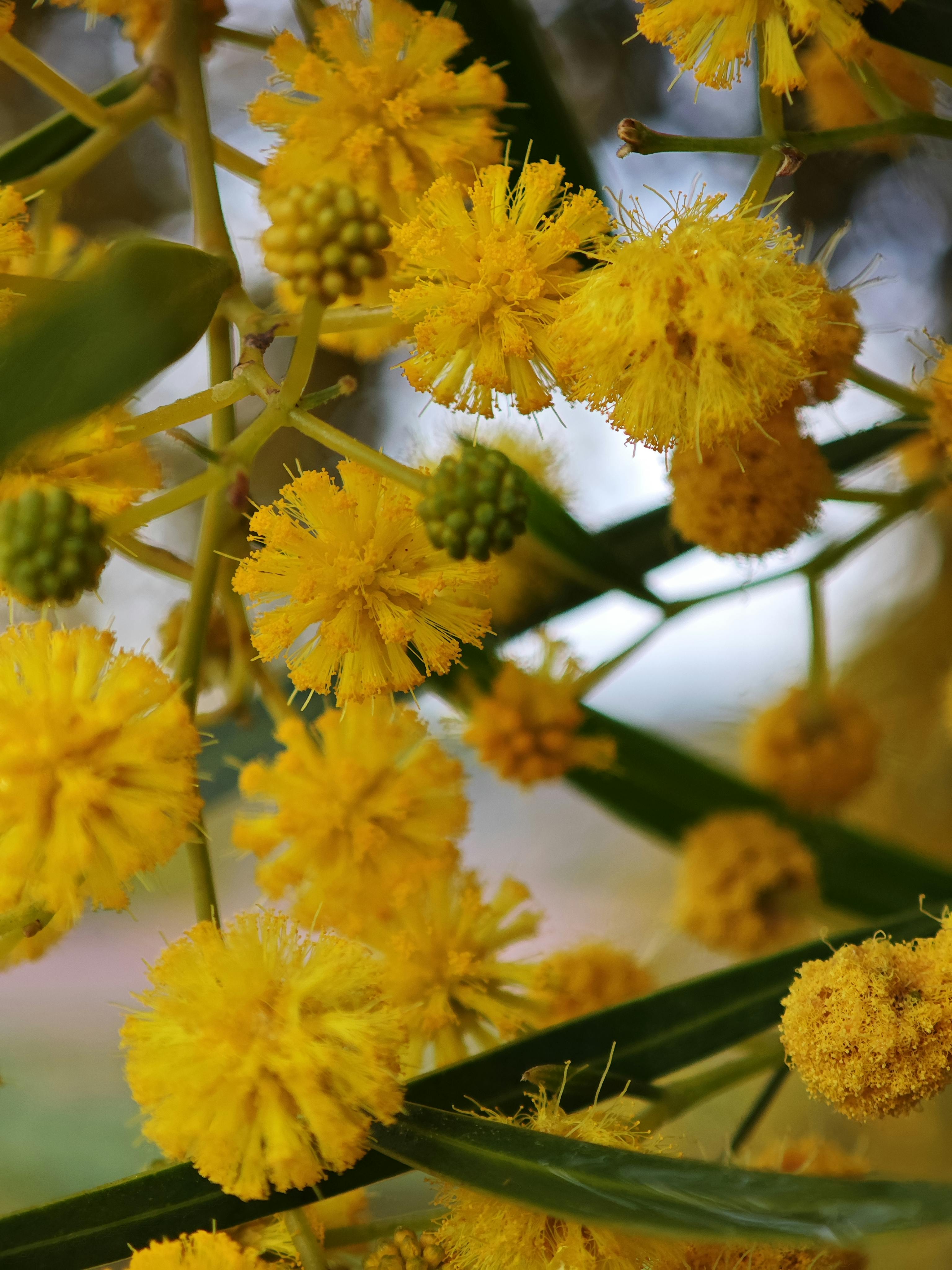 Citation Background Photos, Download The BEST Free Citation Background ...