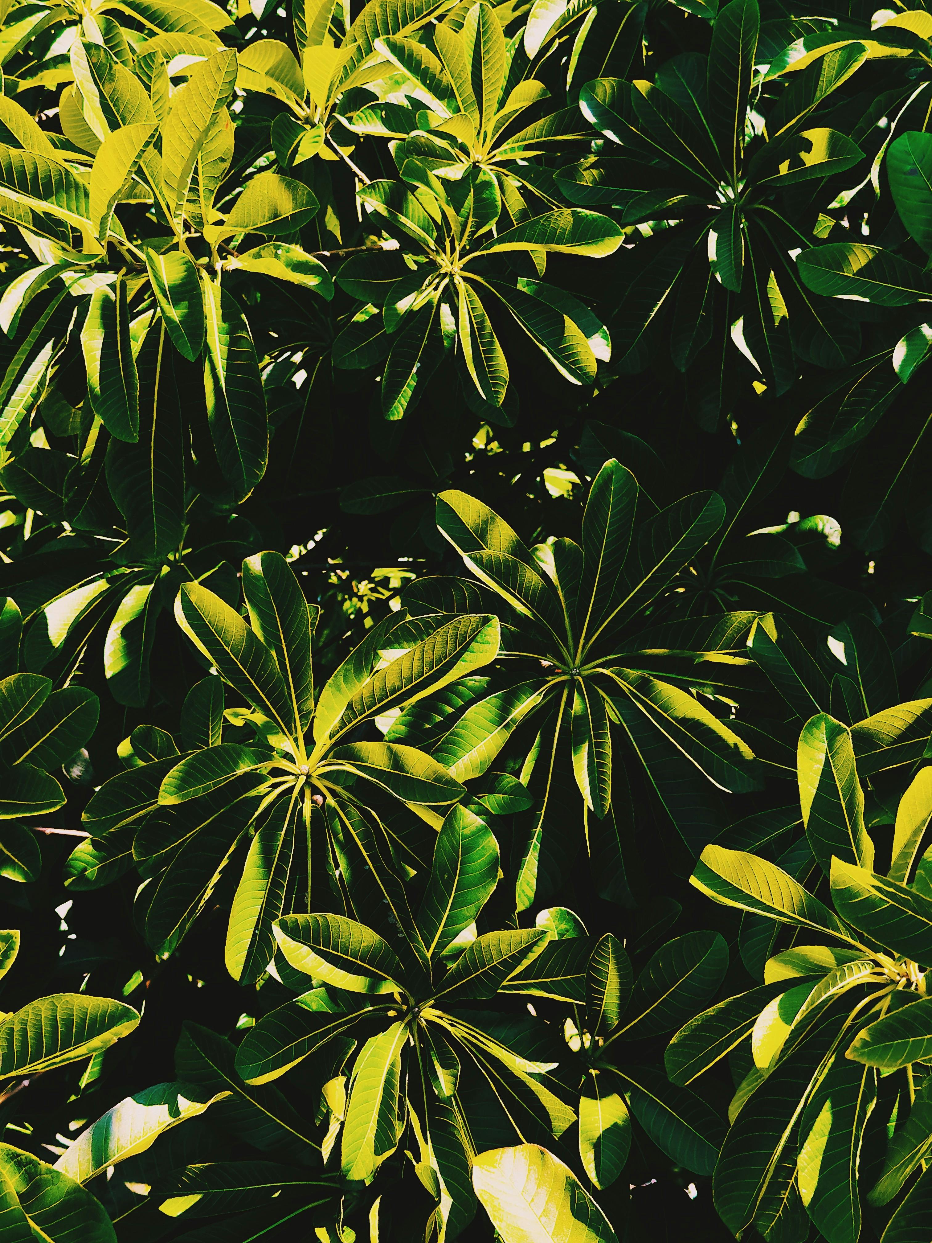 Demo Background Photos, Download The BEST Free Demo Background Stock ...