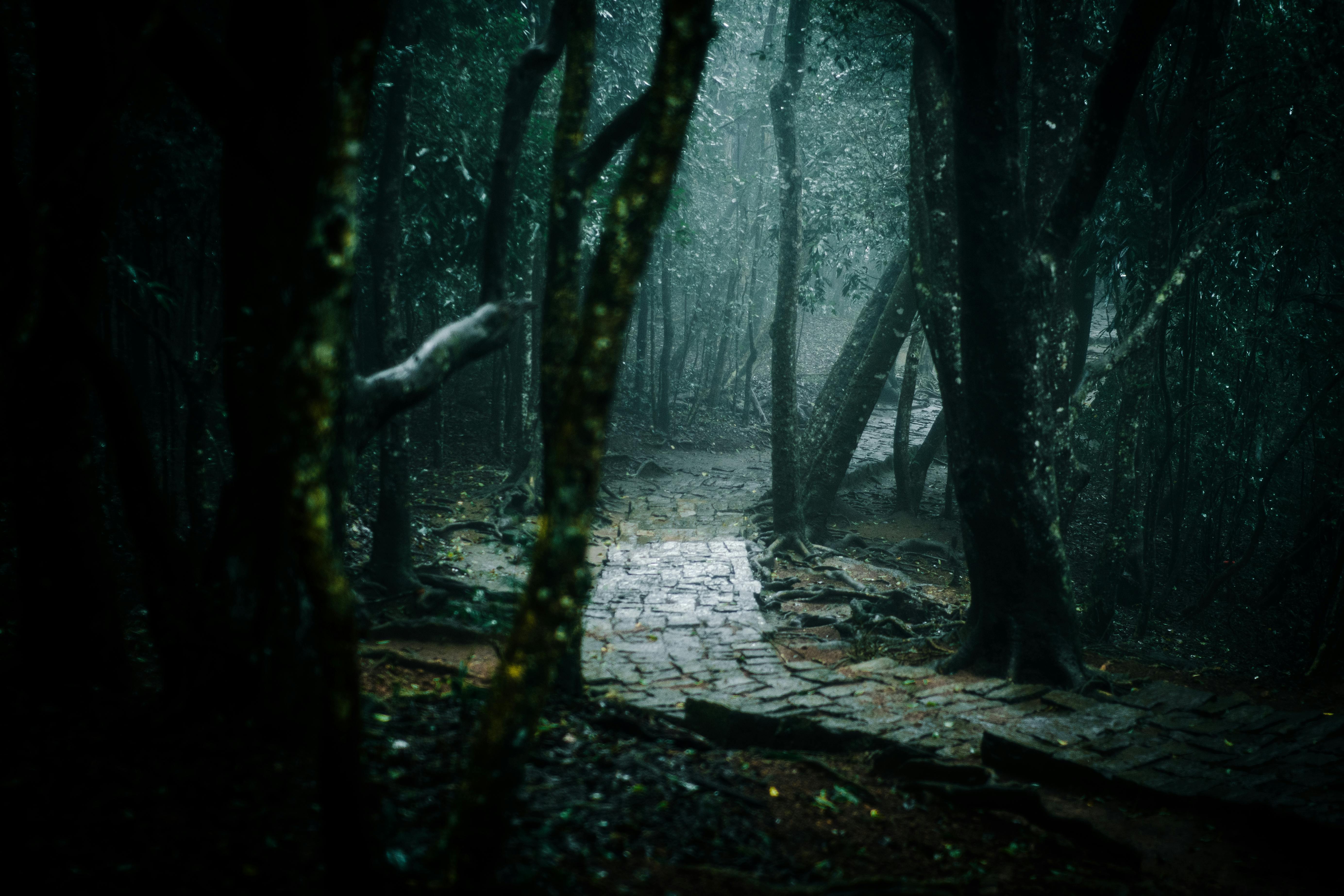 Raw For Editing Practice Photos, Download The BEST Free Raw For Editing ...