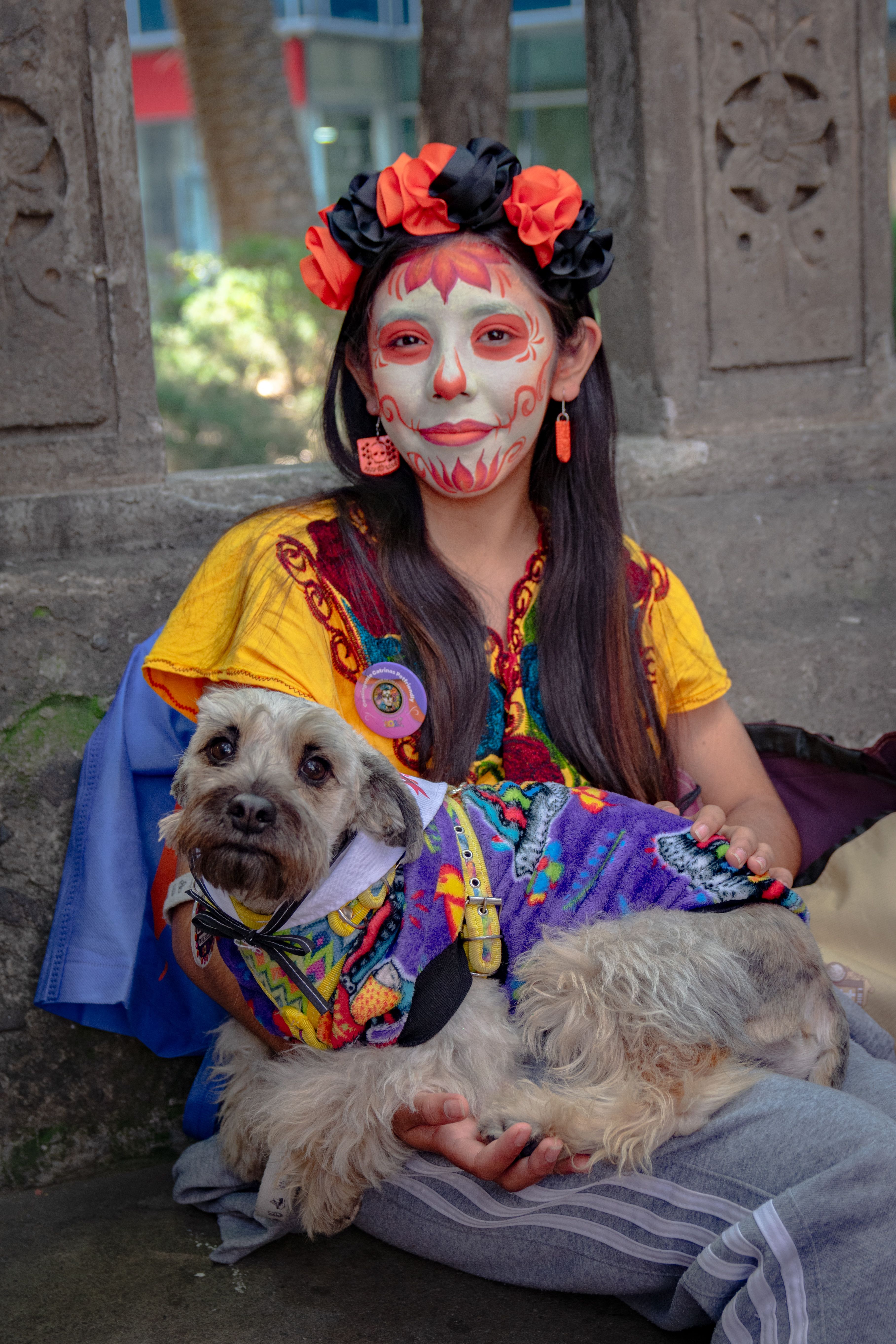 Day Of The Dead Photos, Download The BEST Free Day Of The Dead Stock ...