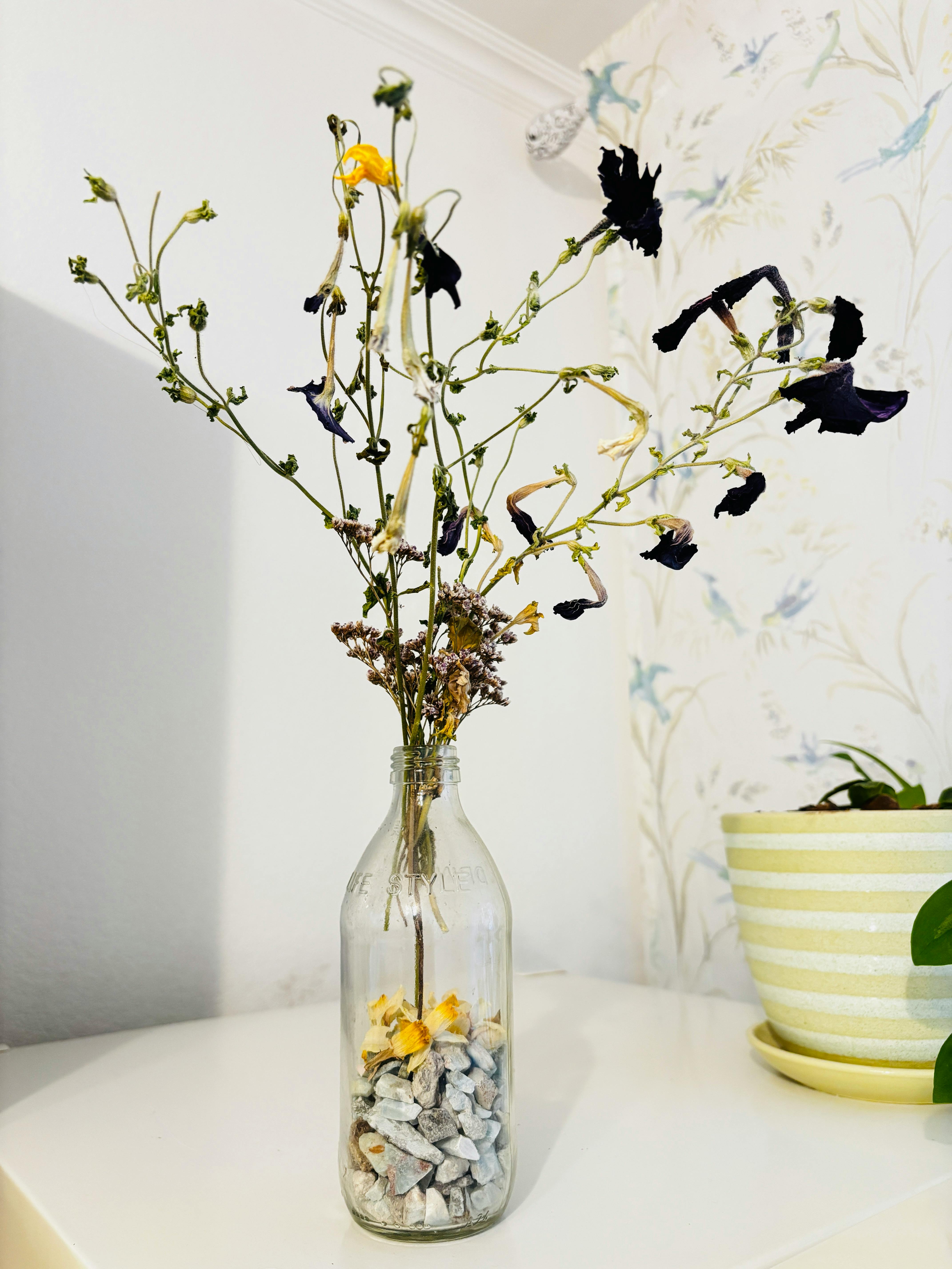 Gubby Wallpaper Photos, Download The BEST Free Gubby Wallpaper Stock ...