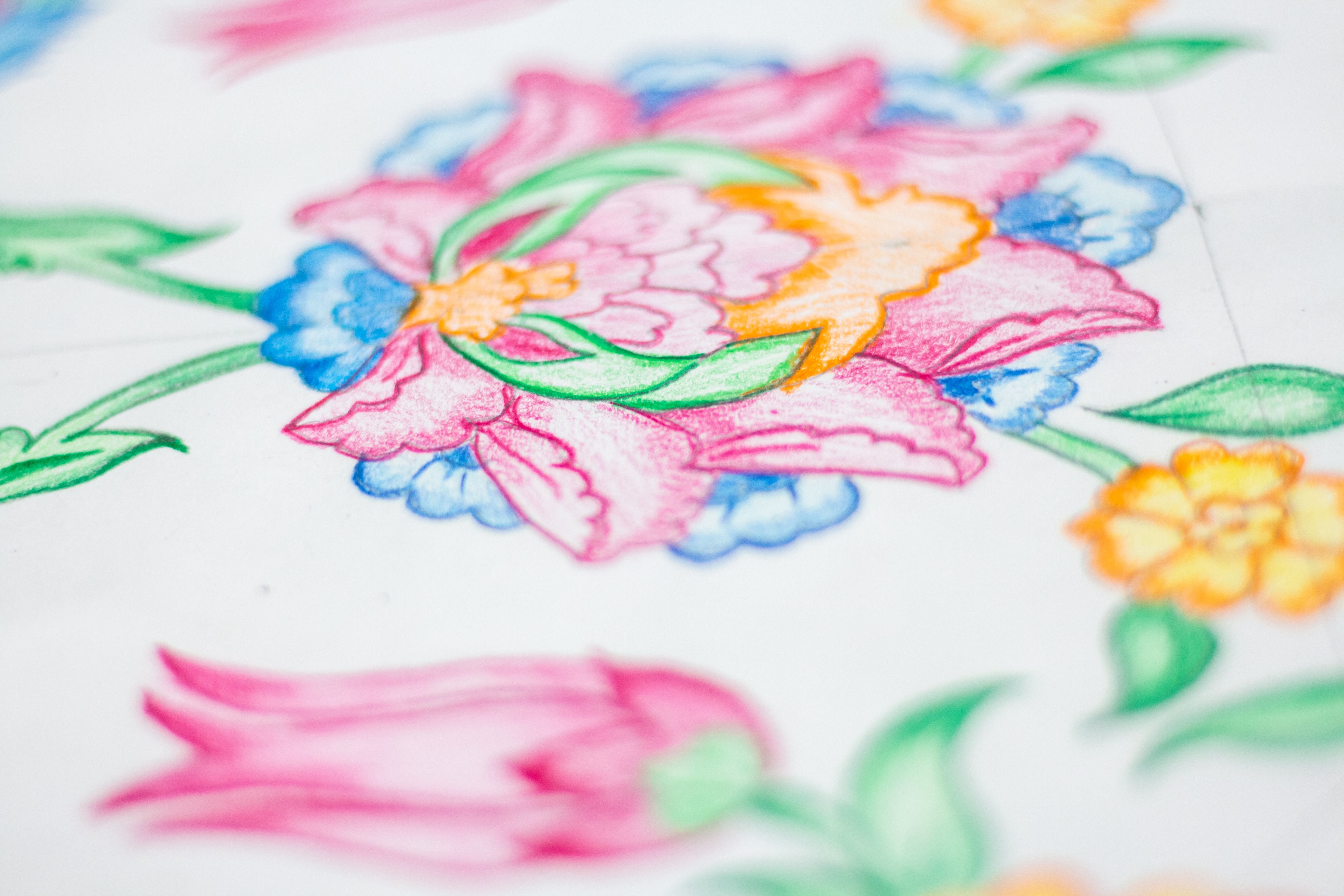 Vibrant Floral Pencil Drawing on White Paper · Free Stock Photo