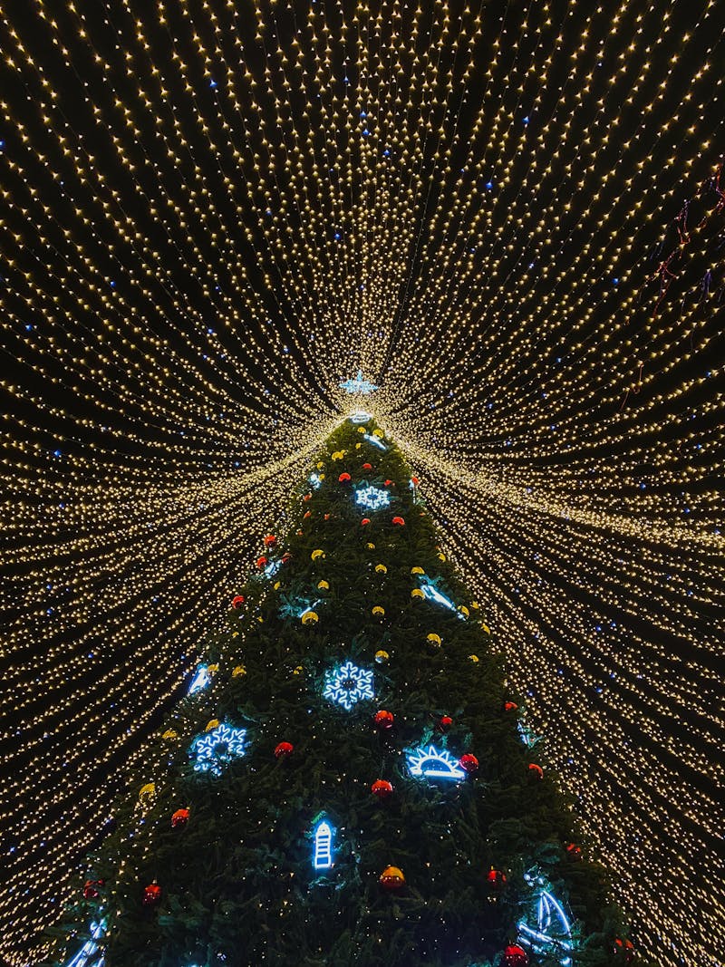 Christmas String Lights Photos, Download The BEST Free Christmas String ...