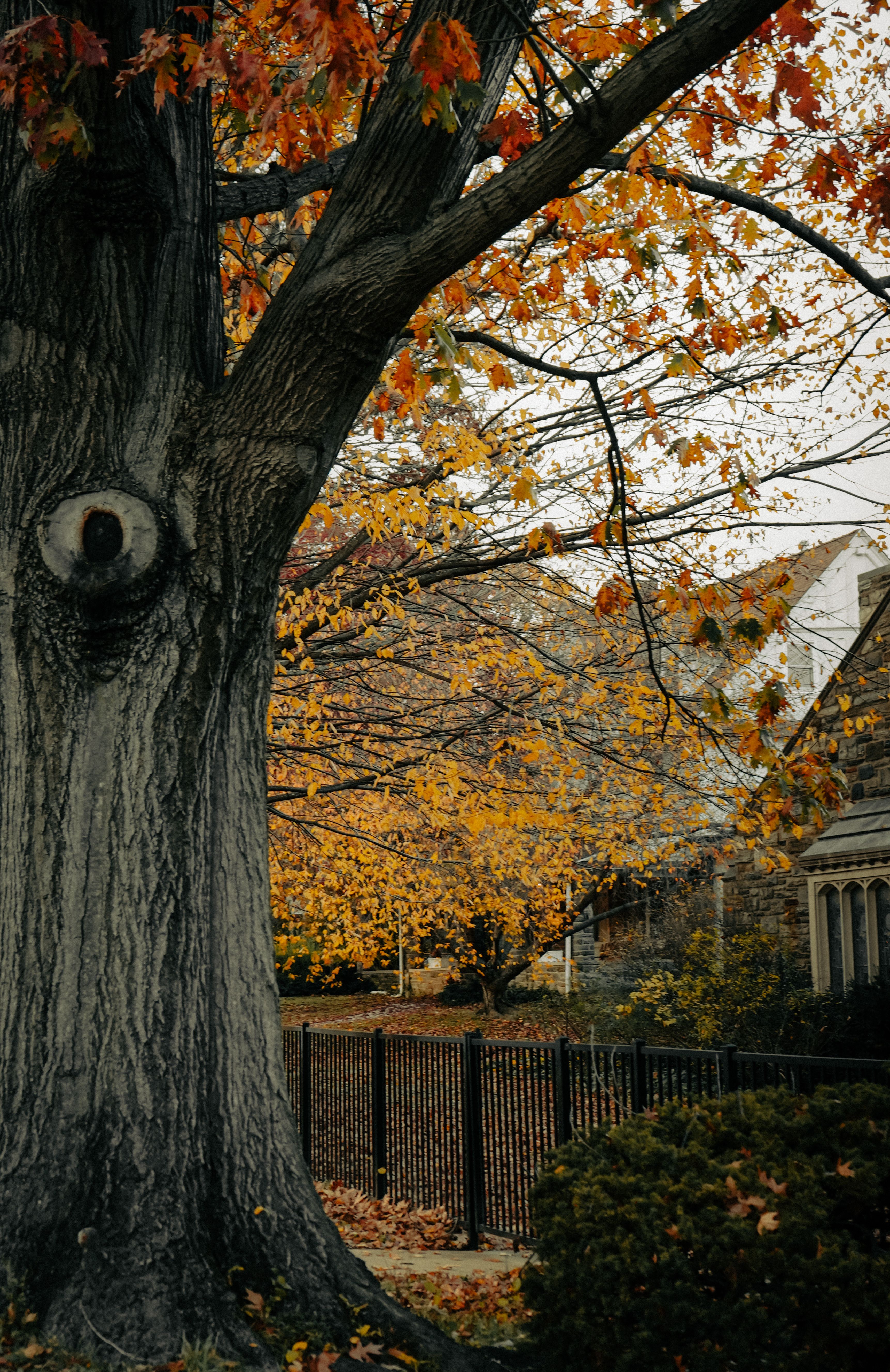 Autumn Foliage with Historic Building · Free Stock Photo