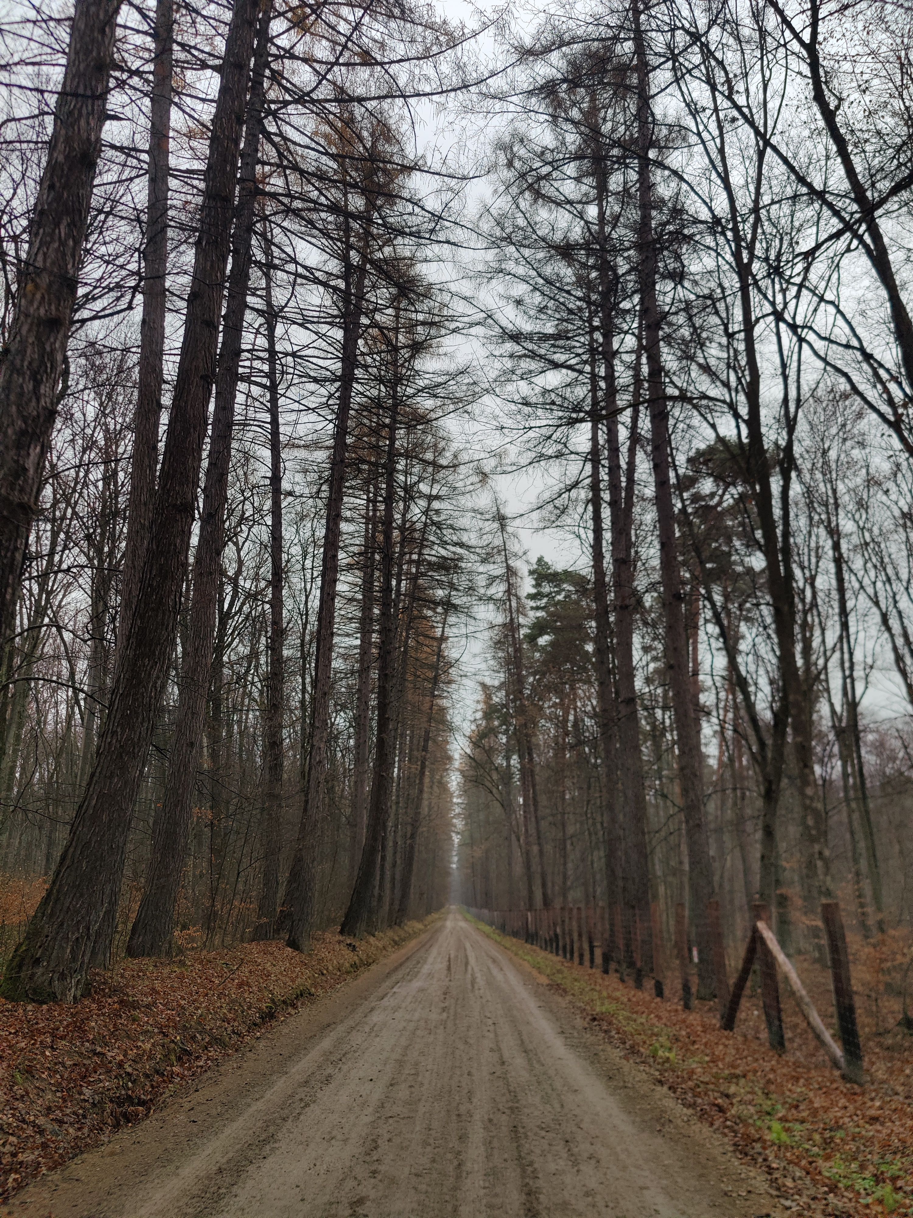 Clear Path Photos, Download The BEST Free Clear Path Stock Photos & HD ...