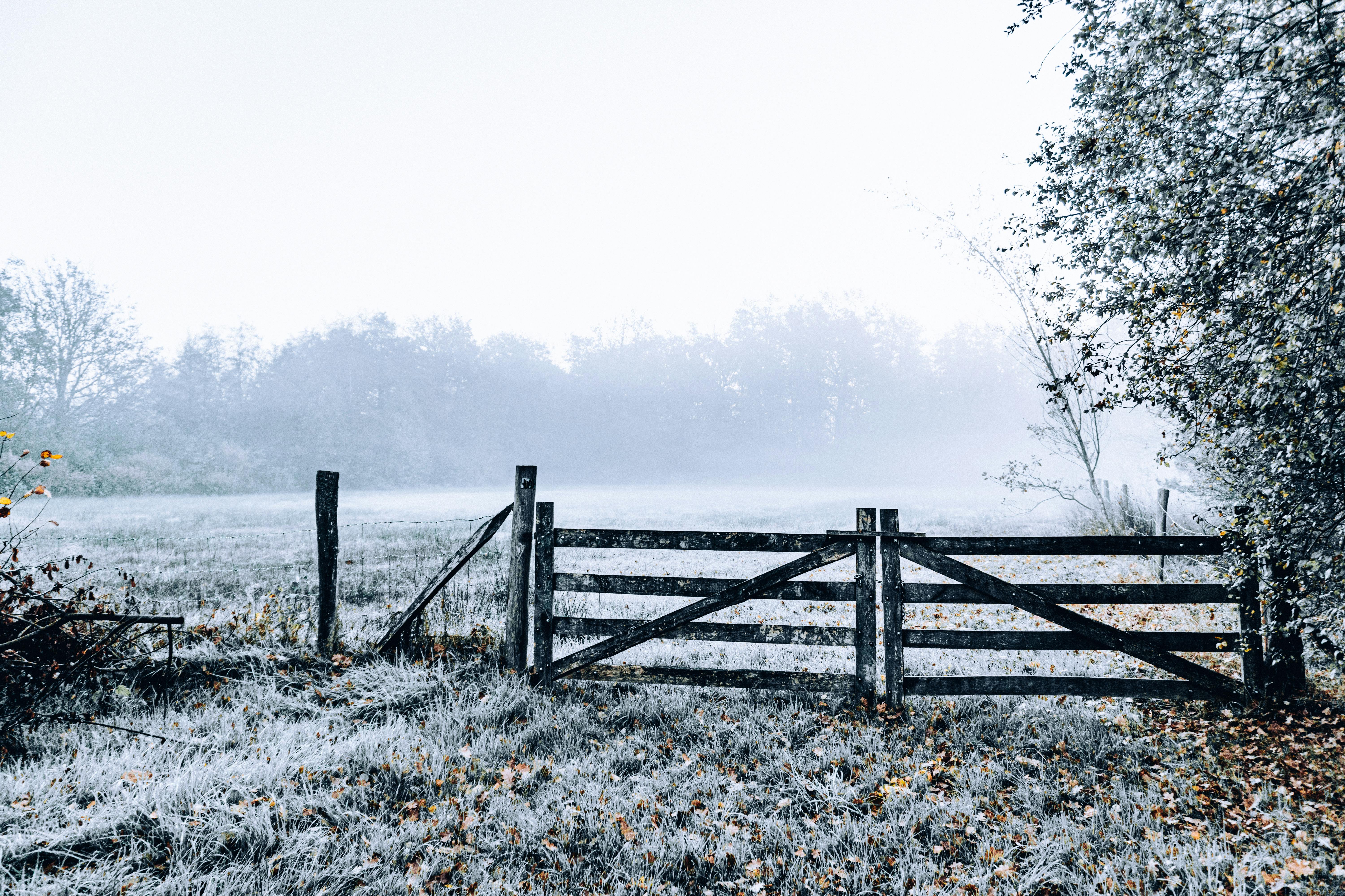 Morning Scenery Photos, Download The BEST Free Morning Scenery Stock ...