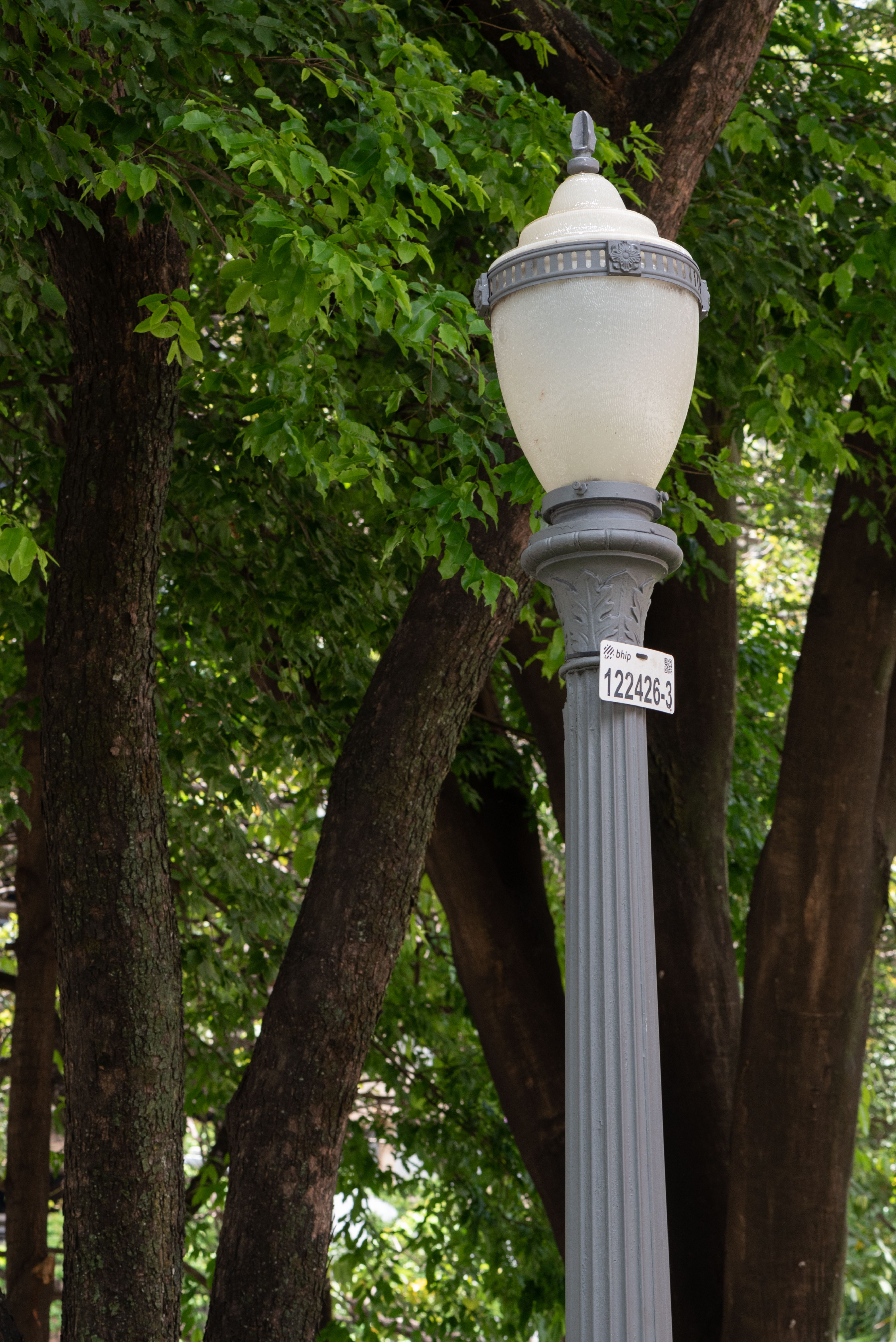 Classic Lamp Post in Lush City Park · Free Stock Photo