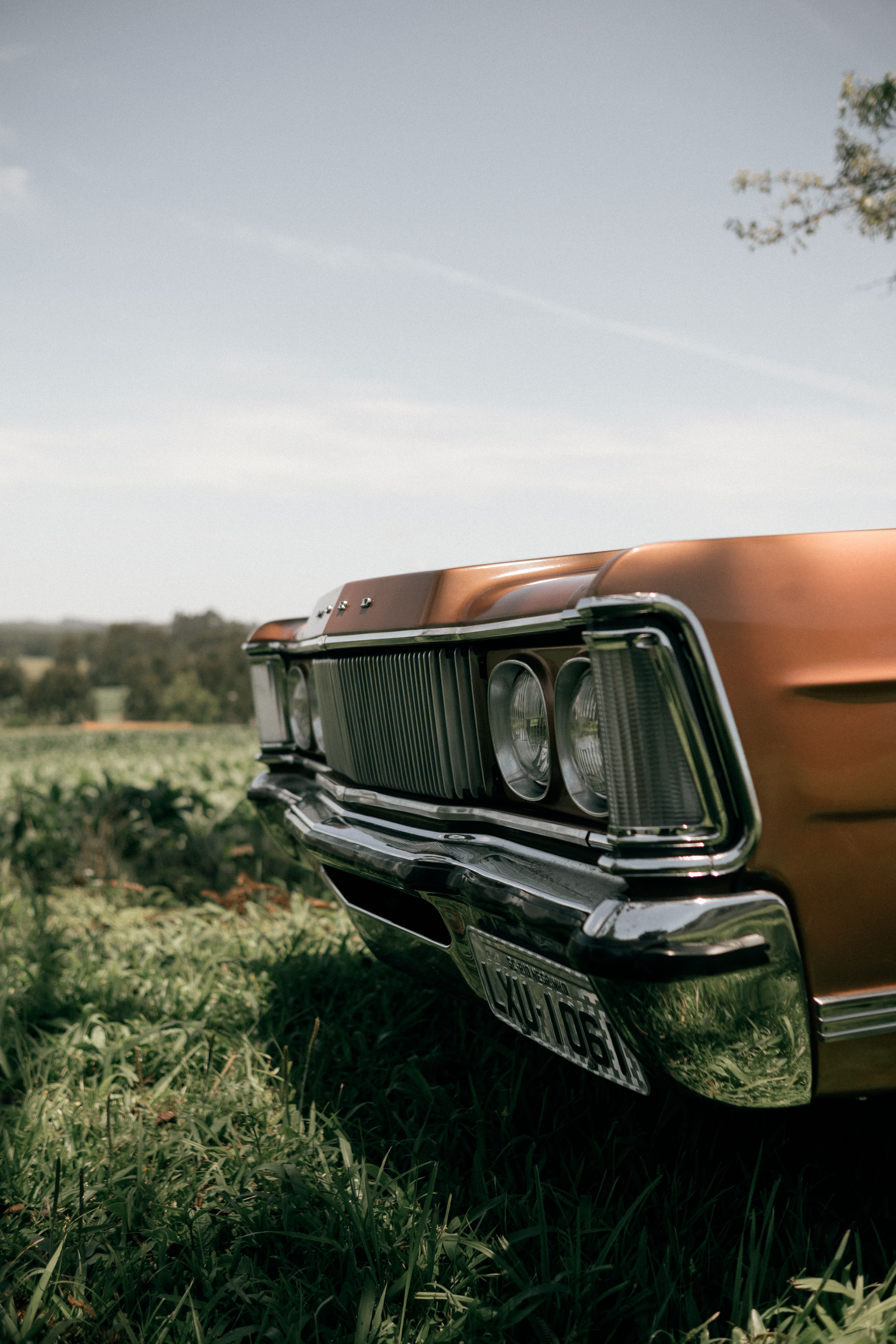 Vintage Car in Sunny Outdoor Setting · Free Stock Photo
