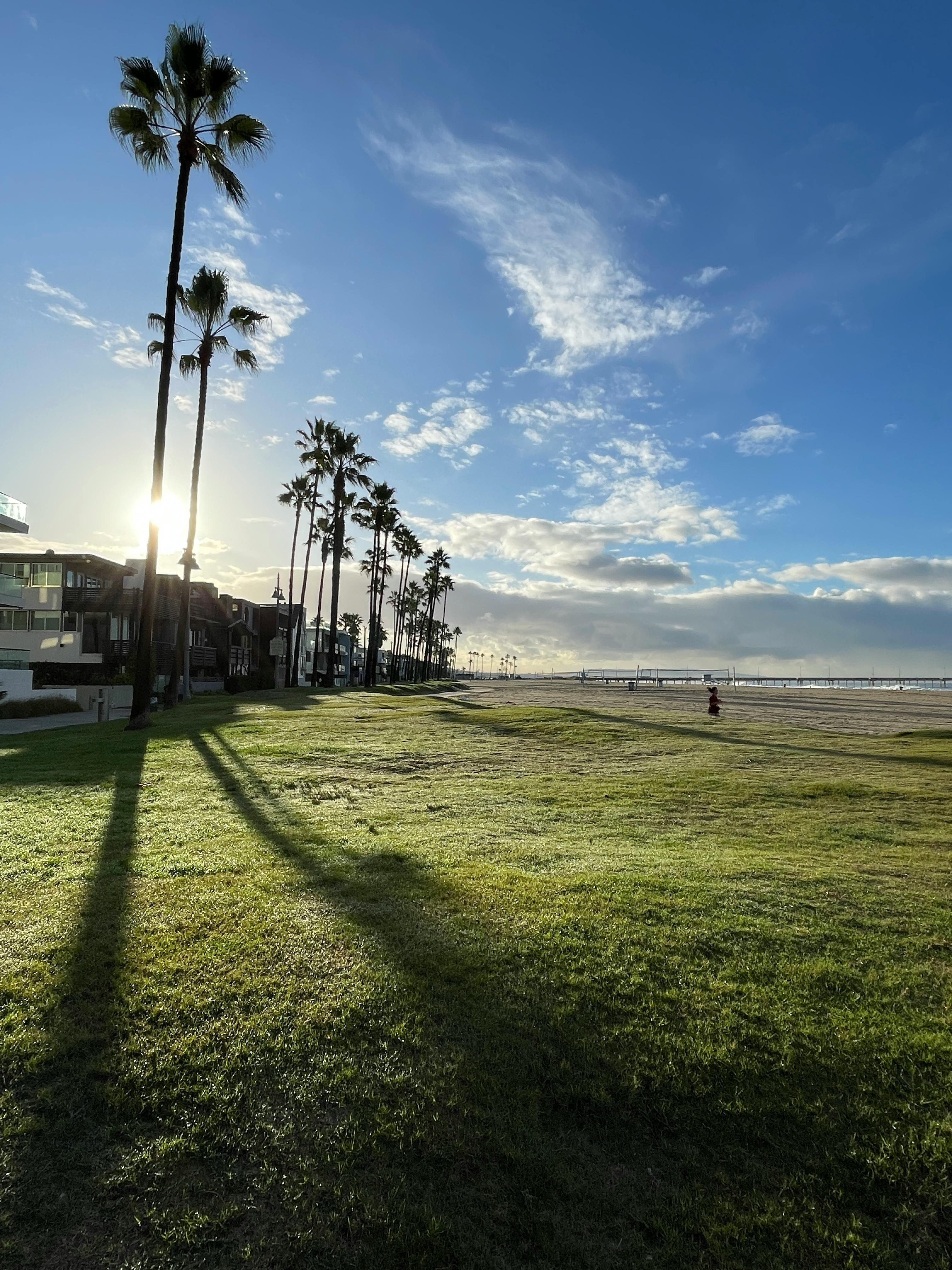 Vibe Photos, Download The BEST Free Vibe Stock Photos & HD Images