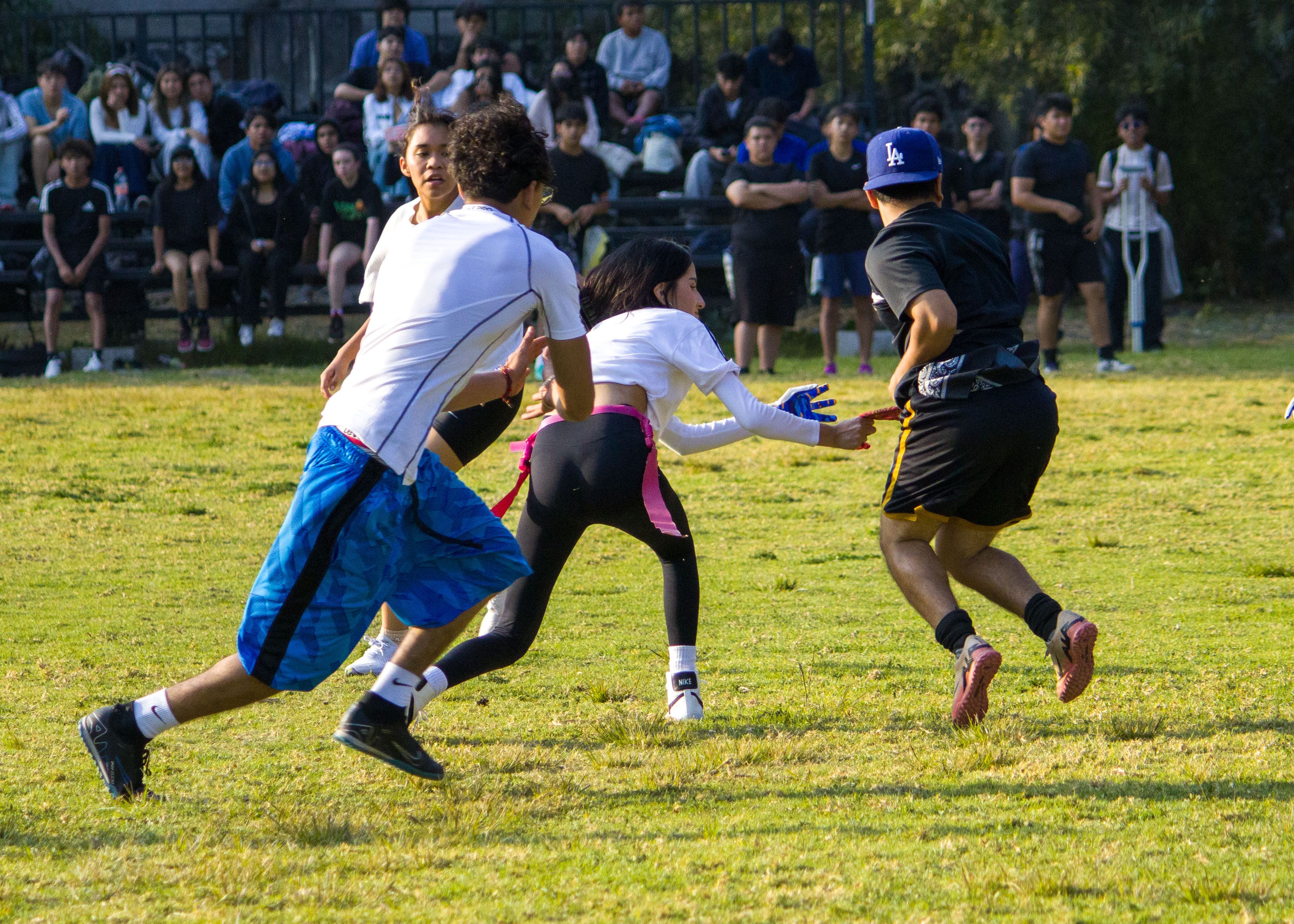 School Event Photos, Download The BEST Free School Event Stock Photos ...