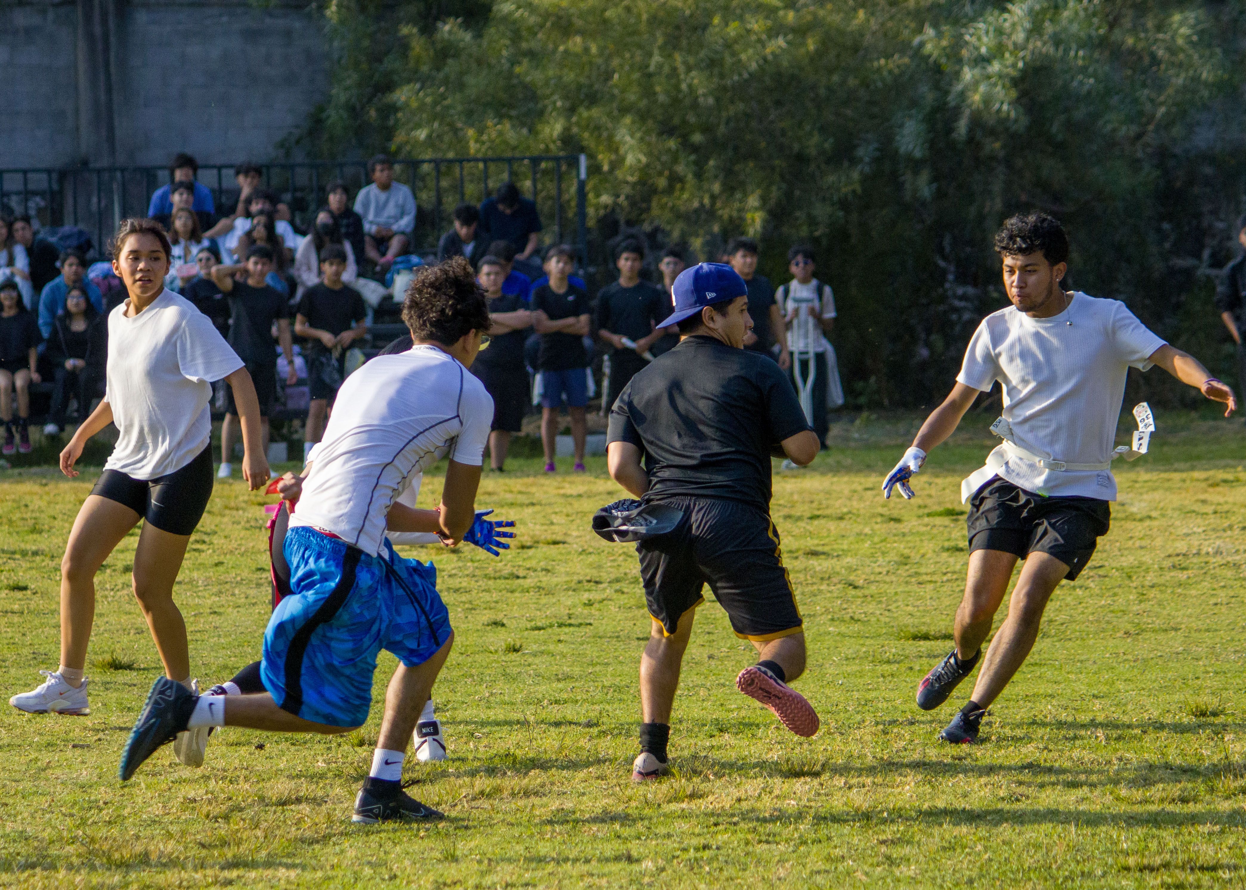 Sports Group Photos, Download The BEST Free Sports Group Stock Photos ...