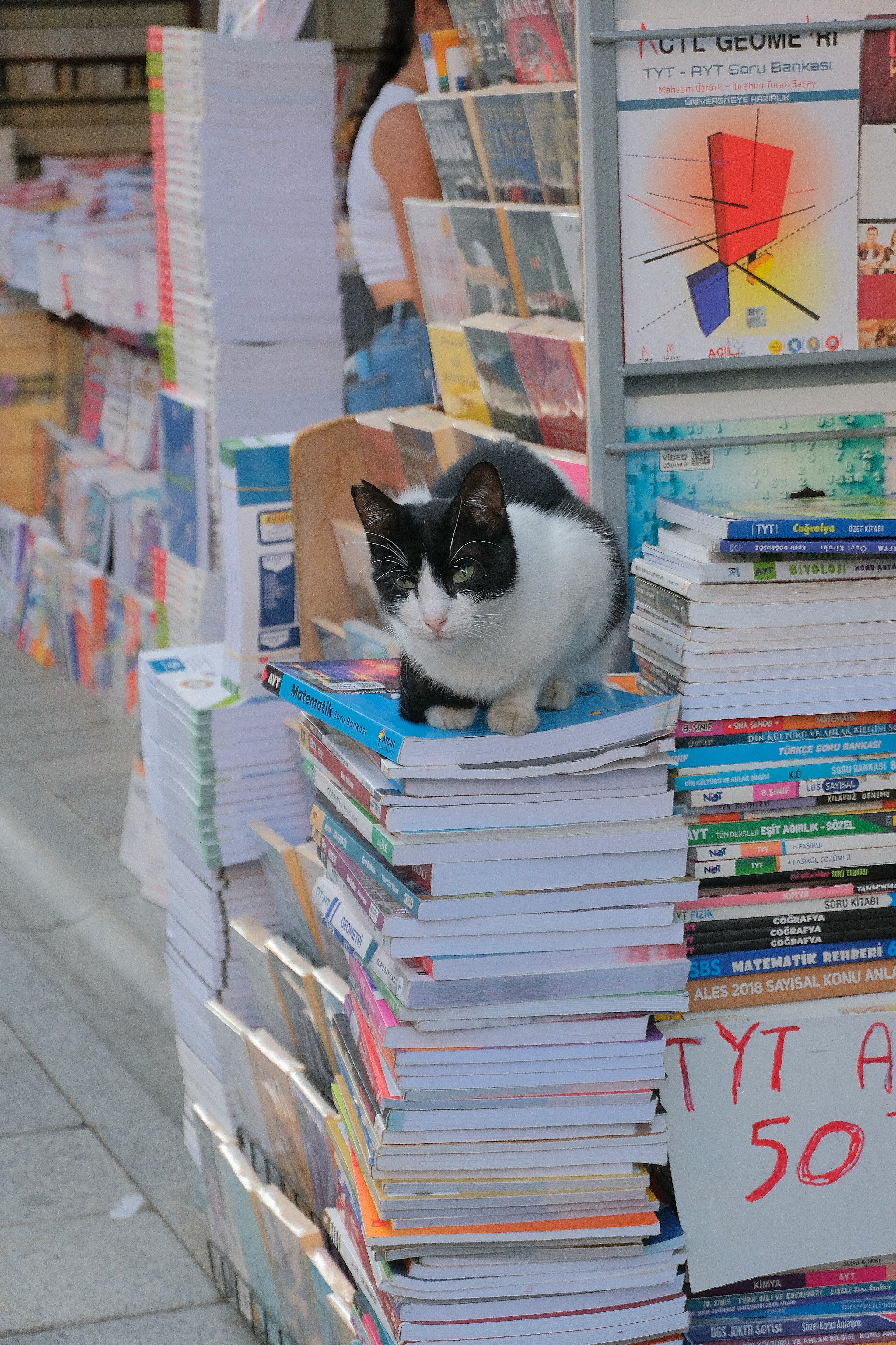 Cat Sitting on Stacks of Books at Outdoor Market · Free Stock Photo