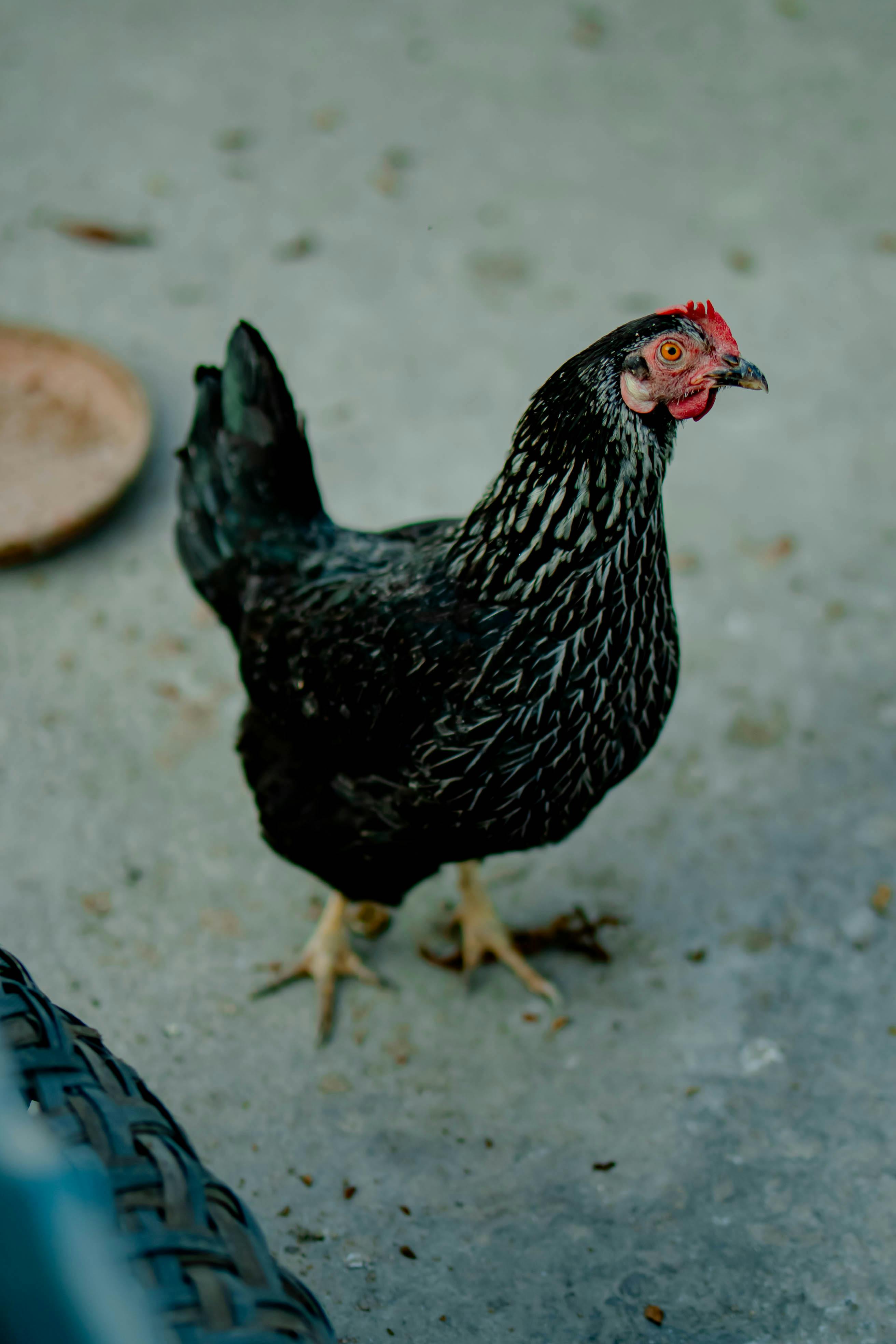 Spongebob+Feet+Pics Photos, Download The BEST Free Spongebob+Feet+Pics ...