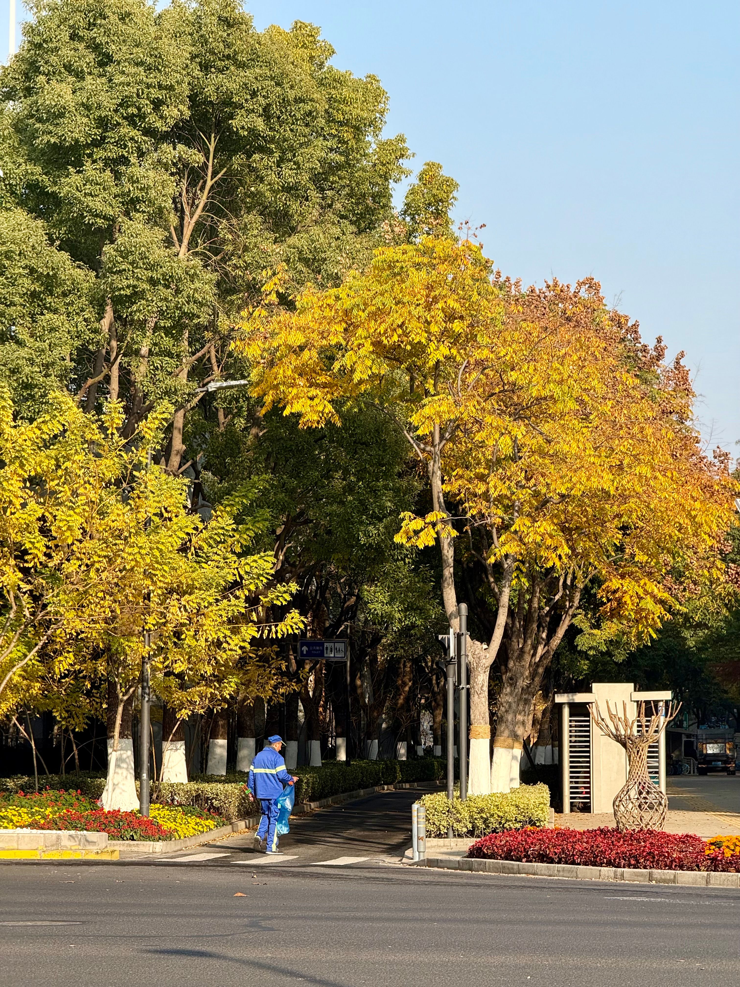 Autumn Street Scene in Shanghai Park · Free Stock Photo
