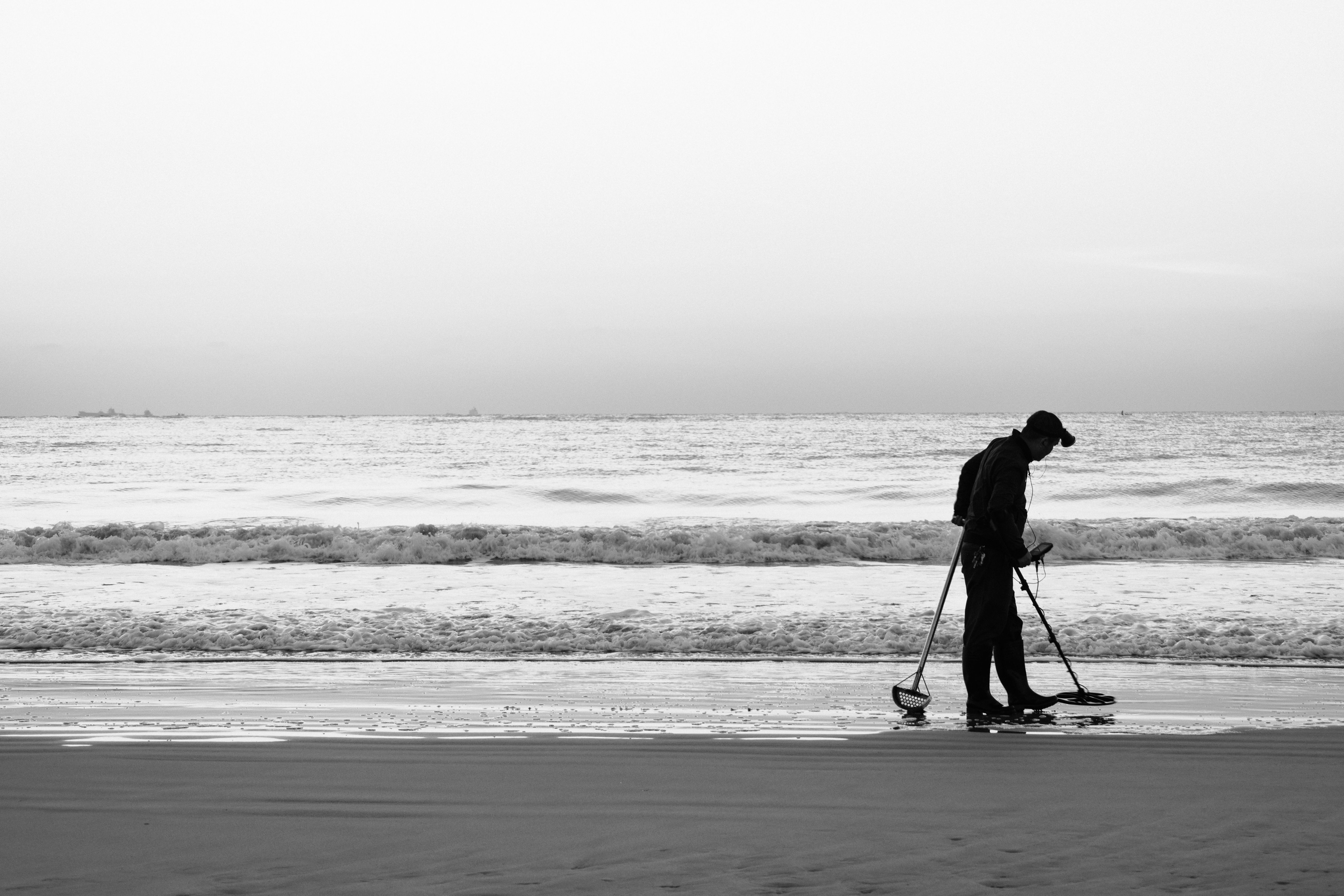 Hunting Photos, Download The BEST Free Hunting Stock Photos & HD Images