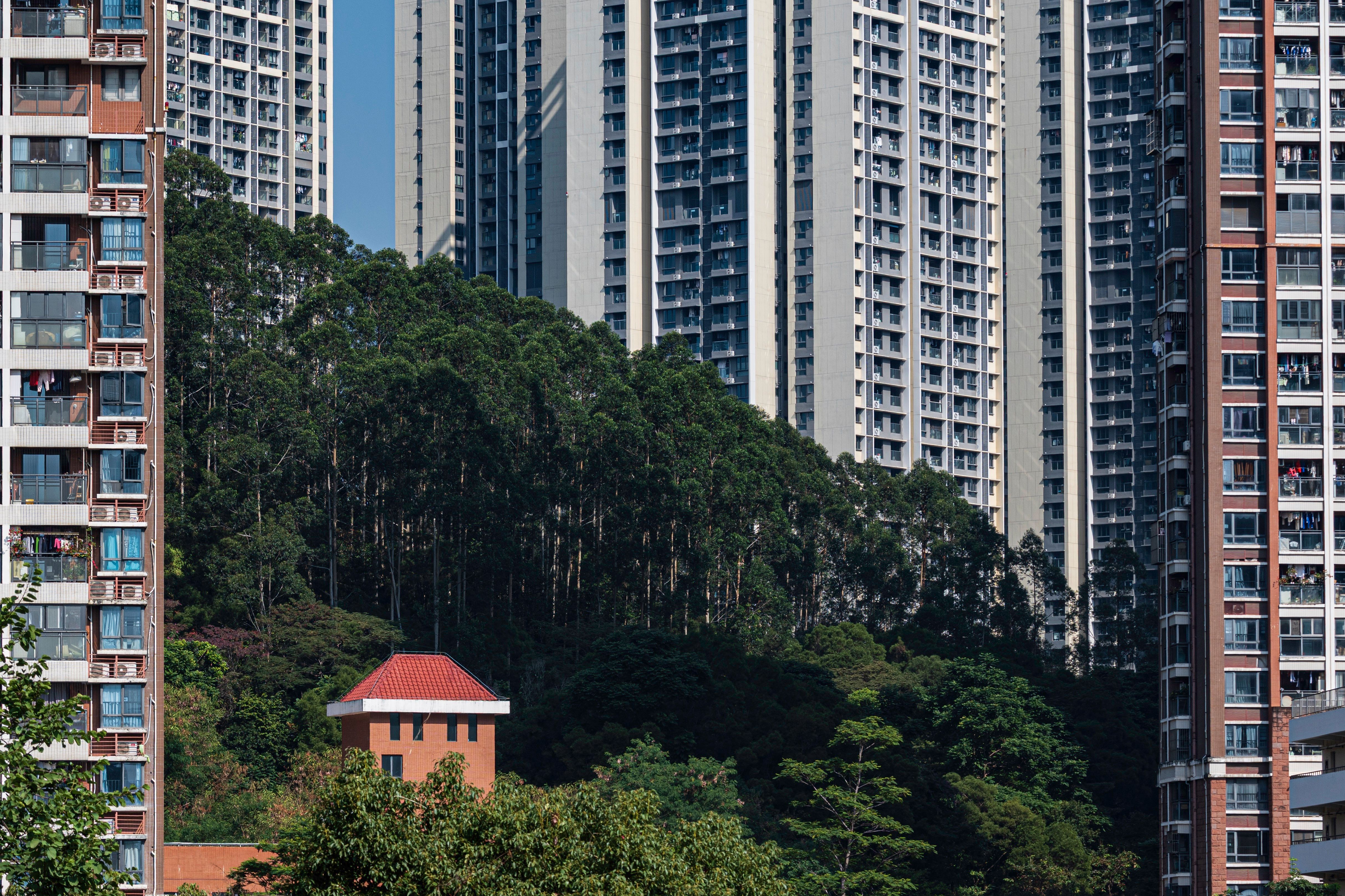 Urban high-rise buildings with forest contrast · Free Stock Photo