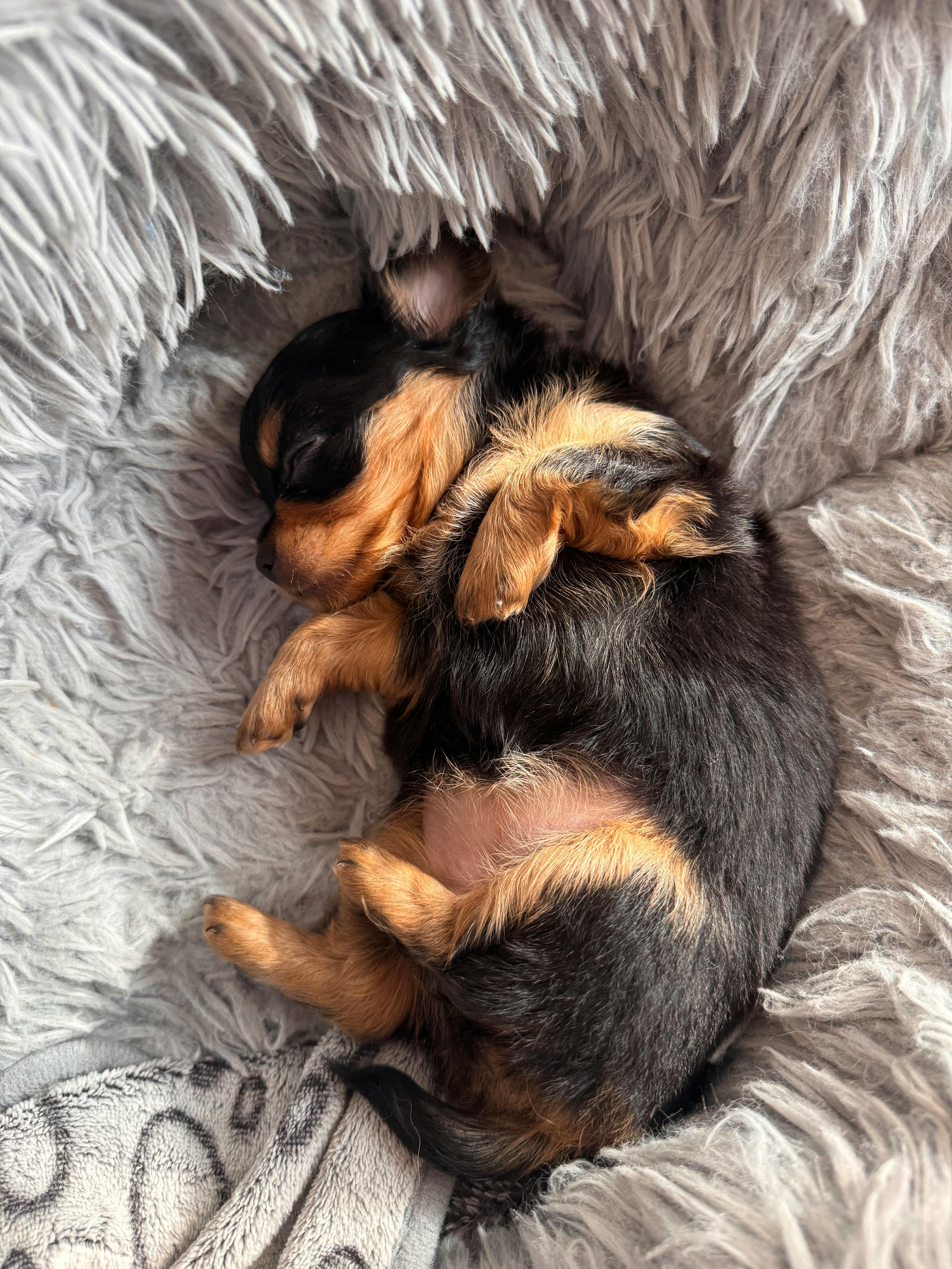 Best+Goon+Pictures Photos, Download The BEST Free Best+Goon+Pictures ...