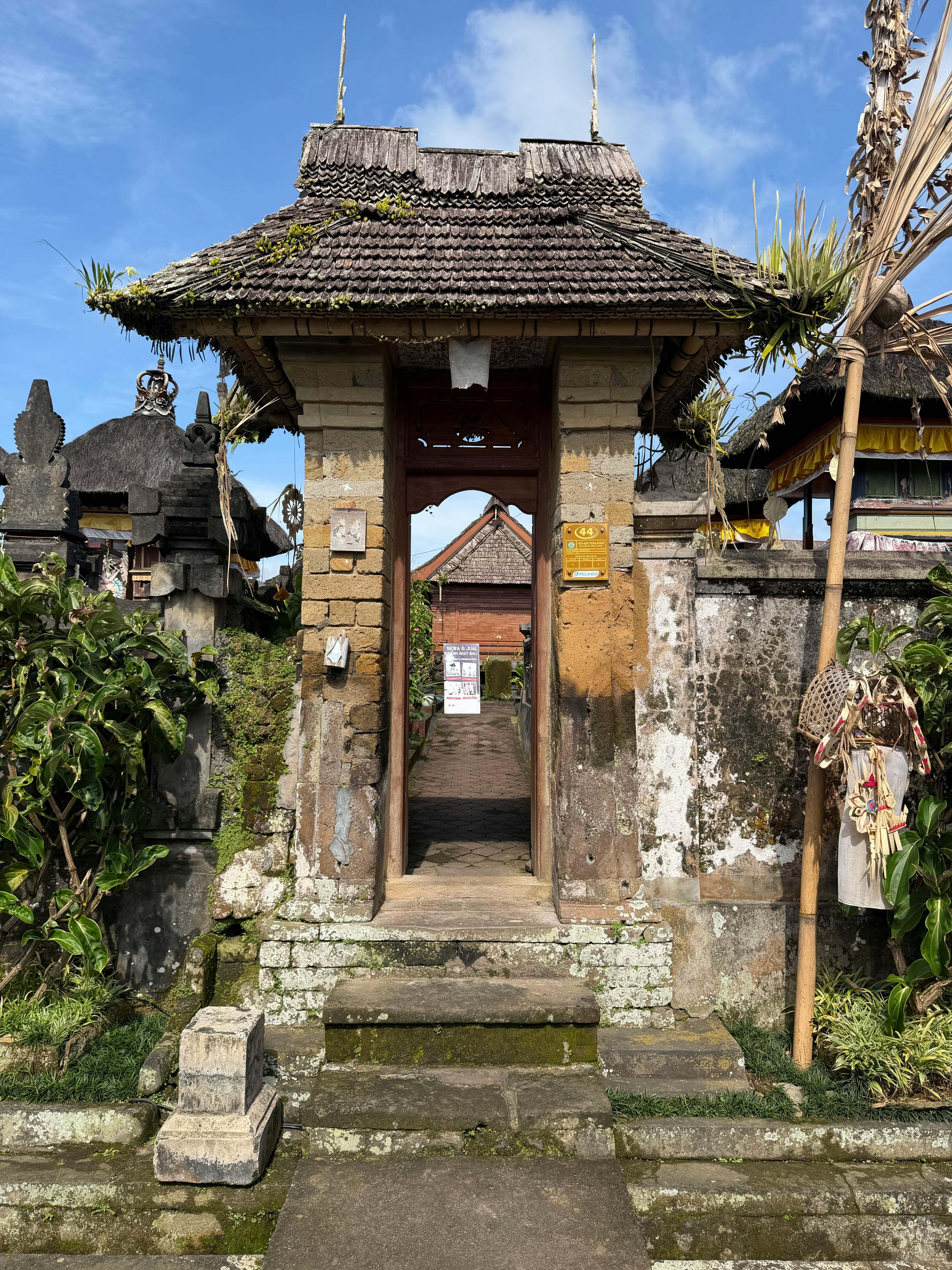 Hindu Brahman Photos, Download The BEST Free Hindu Brahman Stock Photos ...