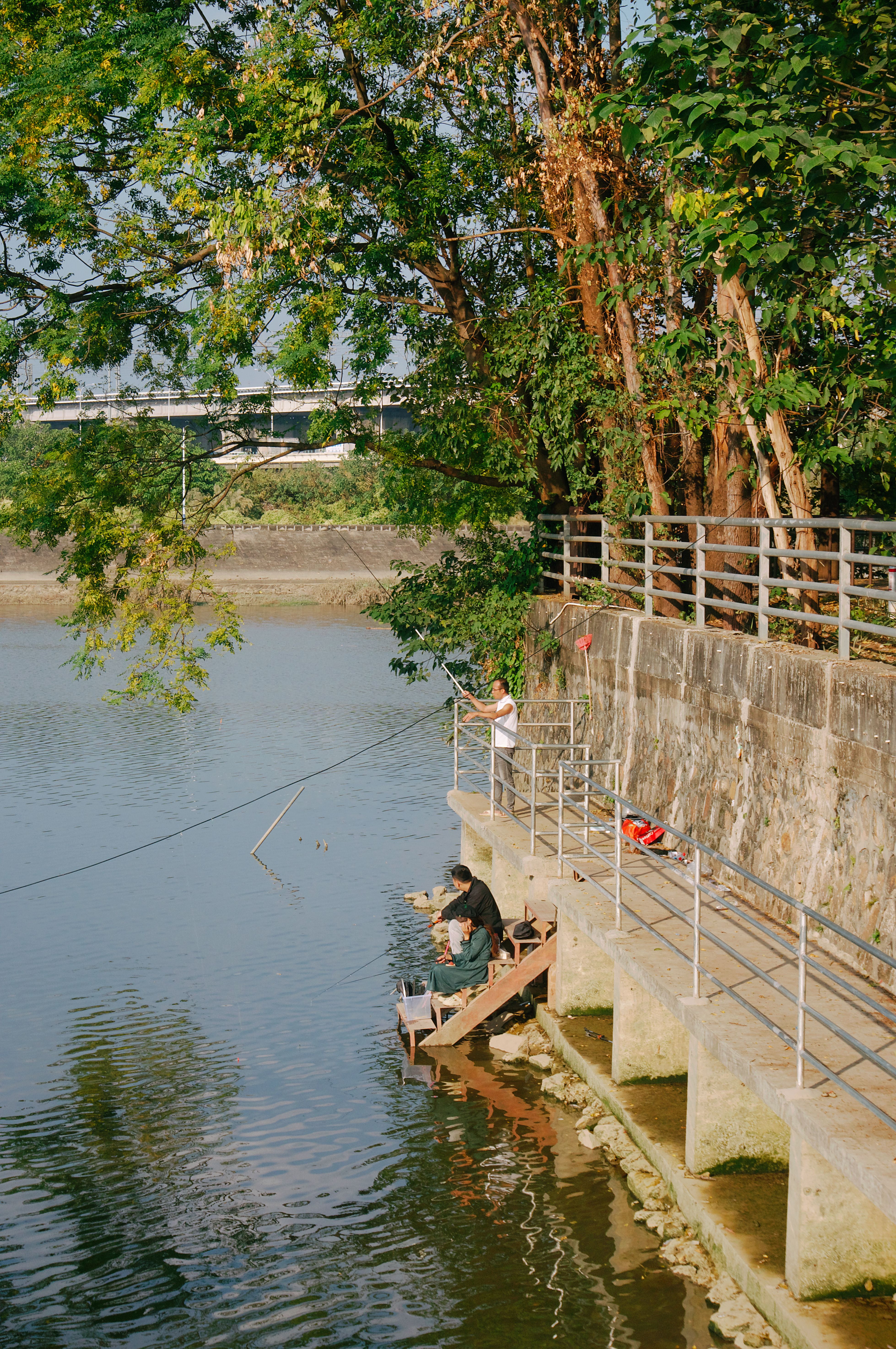 Relaxed Fishing at Riverside on a Sunny Day · Free Stock Photo