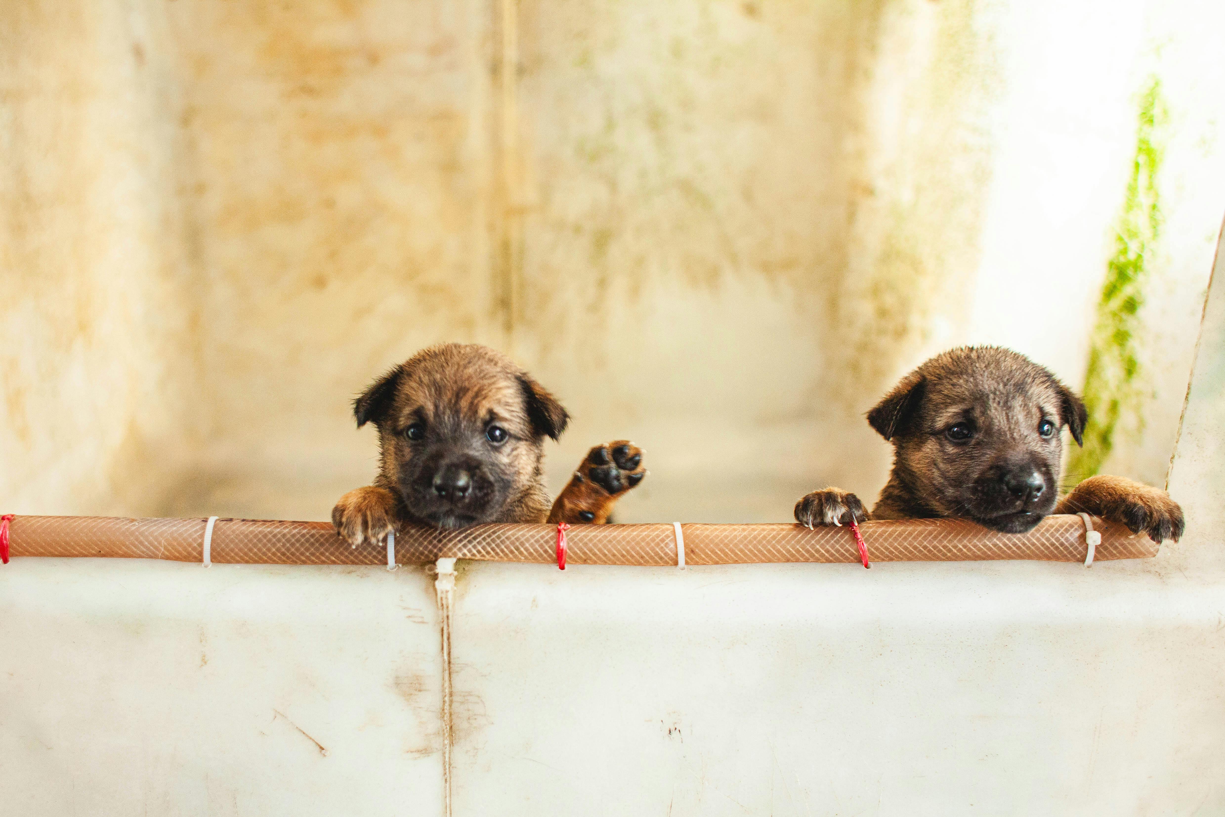 Photos+143+305*70 Photos, Download The BEST Free Photos+143+305*70 ...