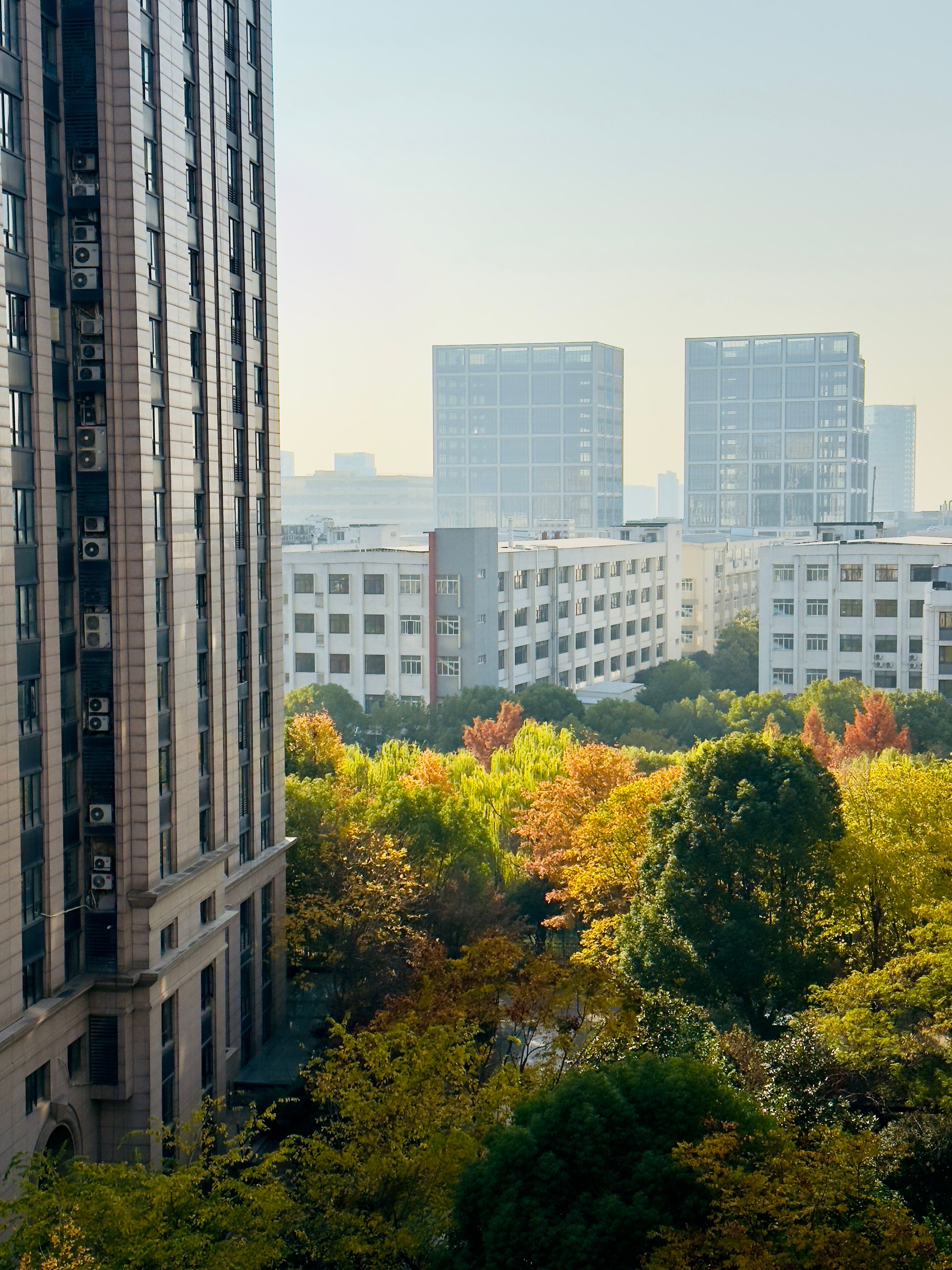 Autumn Urban Landscape in Hangzhou, China · Free Stock Photo