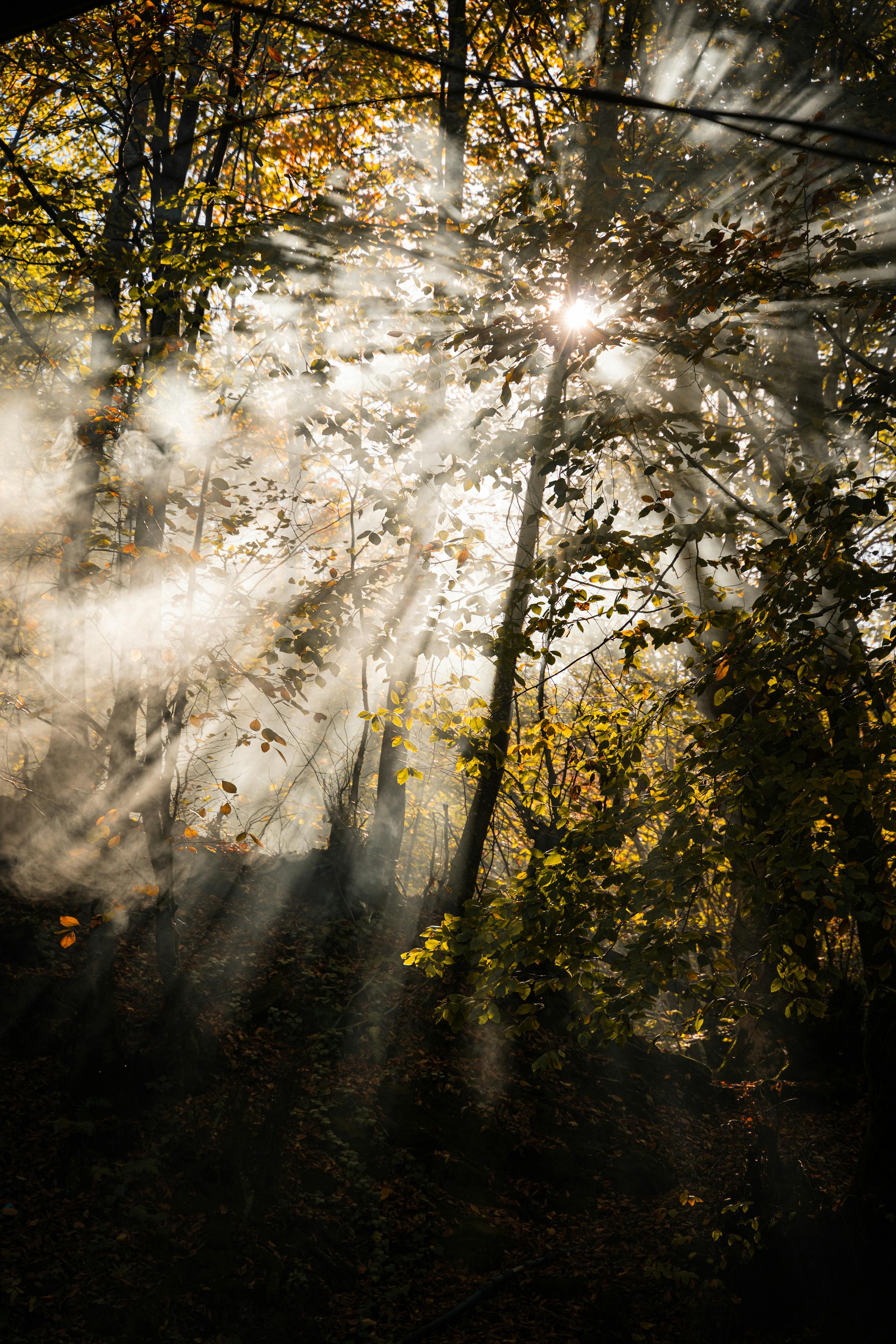 Namitha+Hot+Bikini+Scenes Photos, Download The BEST Free Namitha+Hot ...