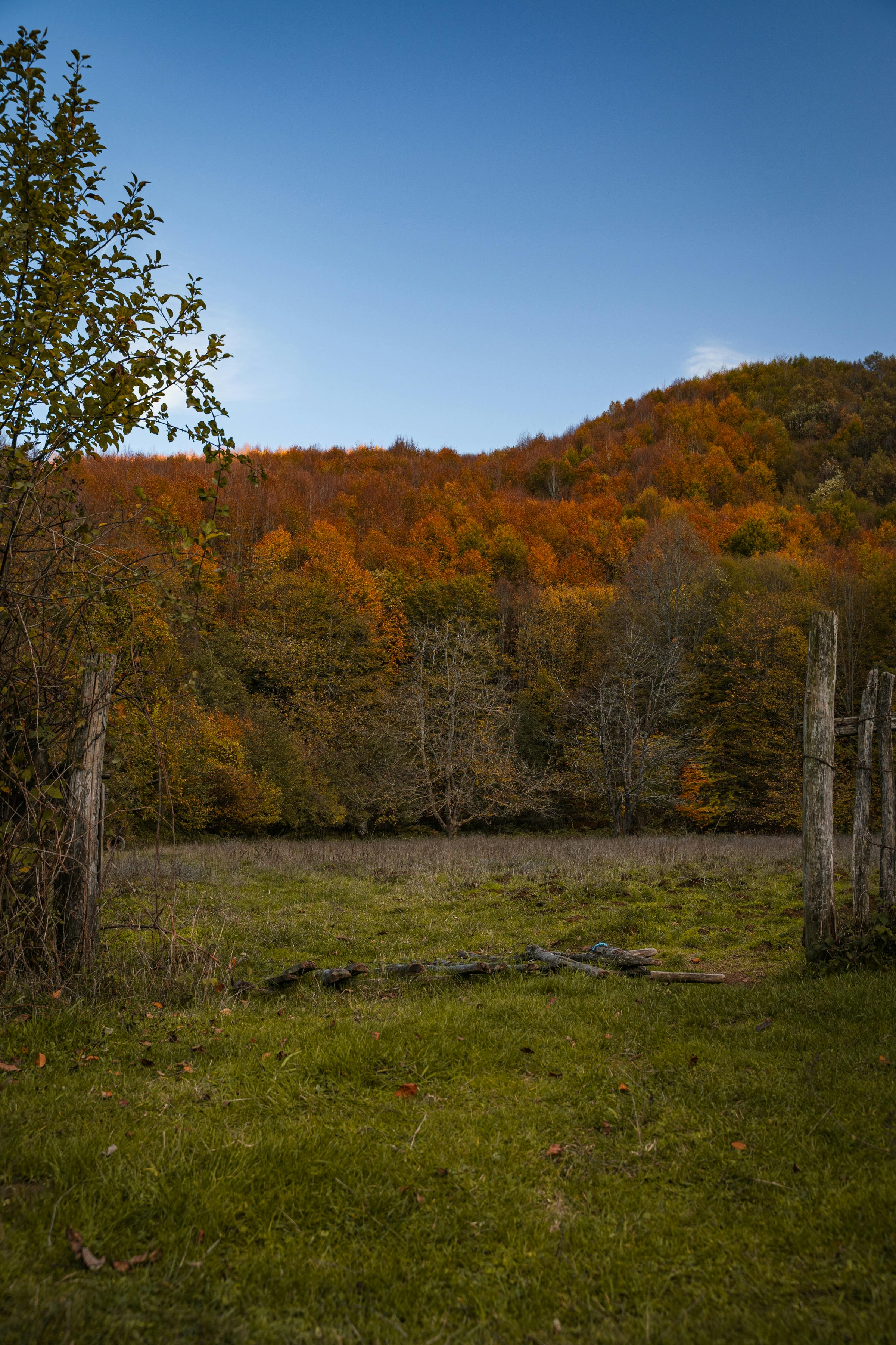 Namitha+Hot+Bikini+Scenes Photos, Download The BEST Free Namitha+Hot ...