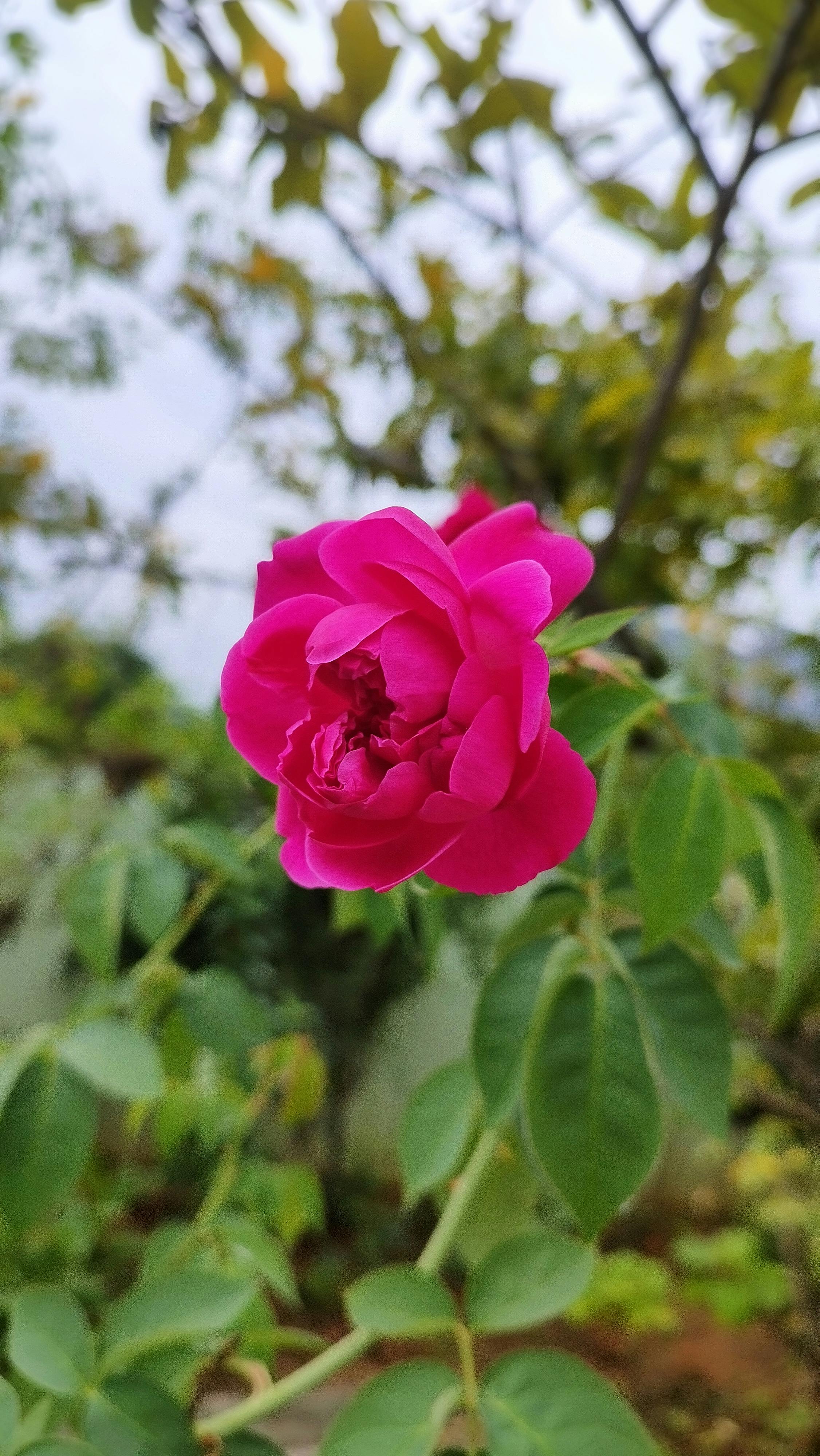 Best+Goon+Pictures Photos, Download The BEST Free Best+Goon+Pictures ...