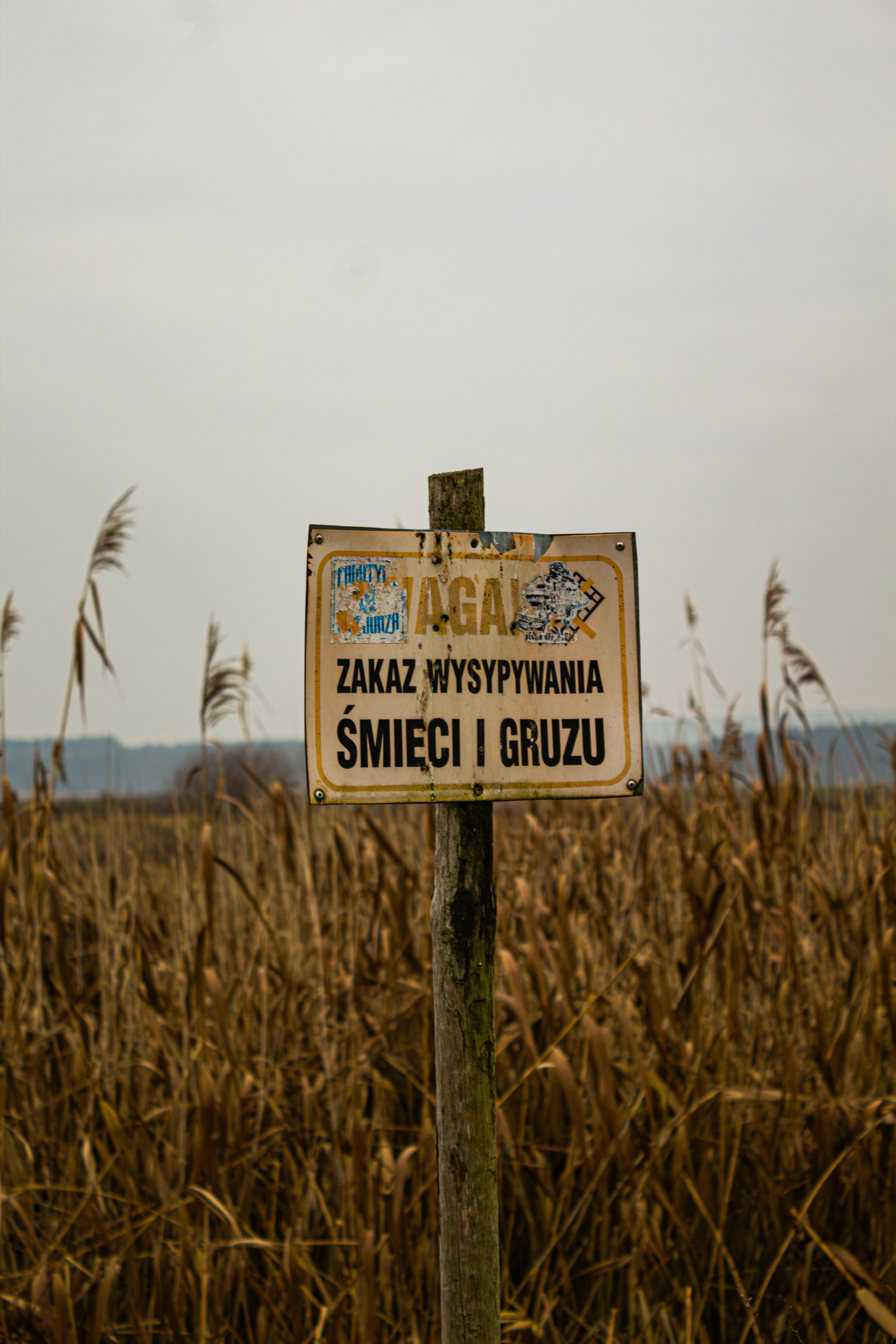 Plain Photos, Download The BEST Free Plain Stock Photos & HD Images