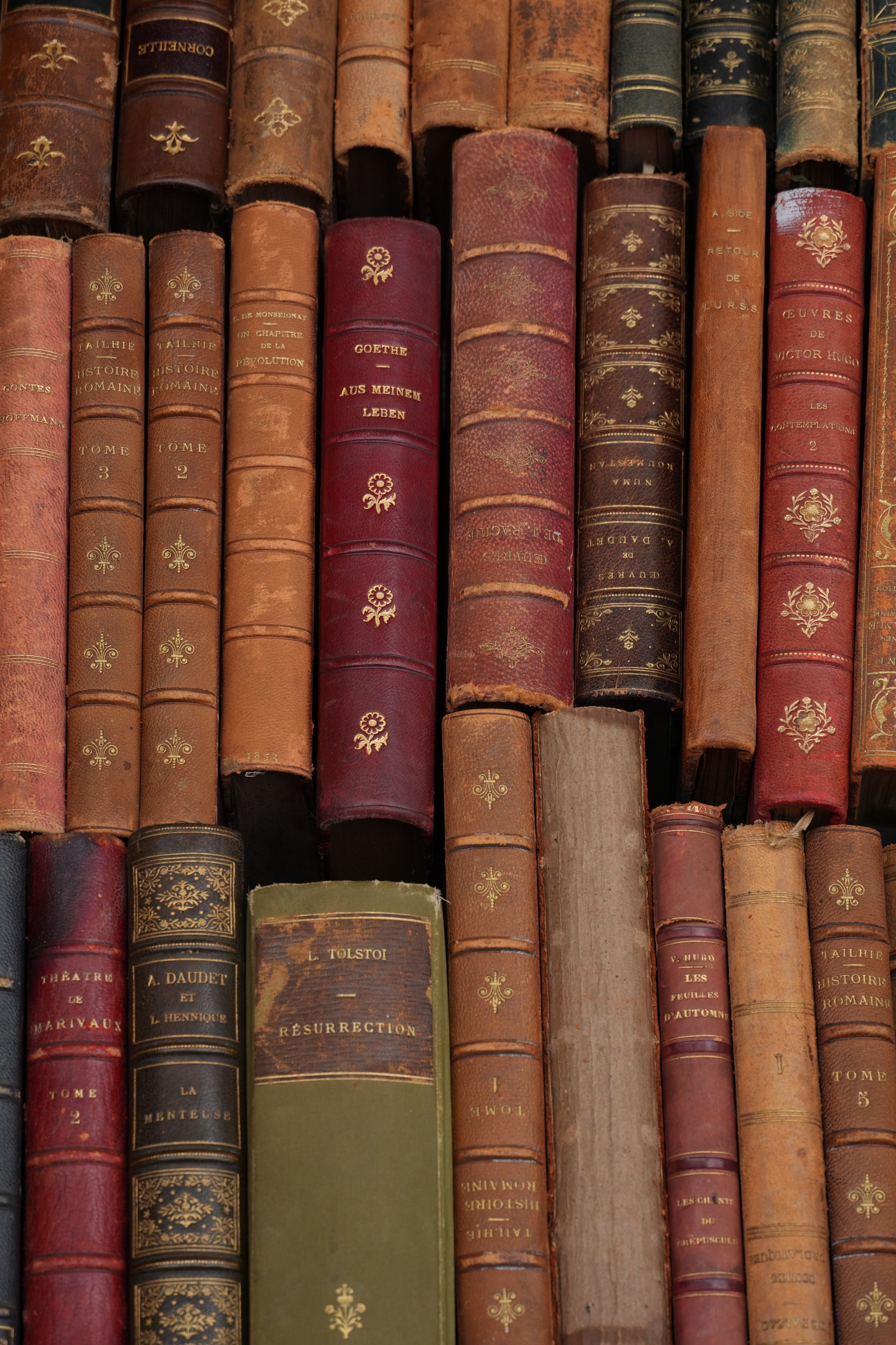 Vintage Bookshelf with Classic Literature in Talgar Library · Free ...