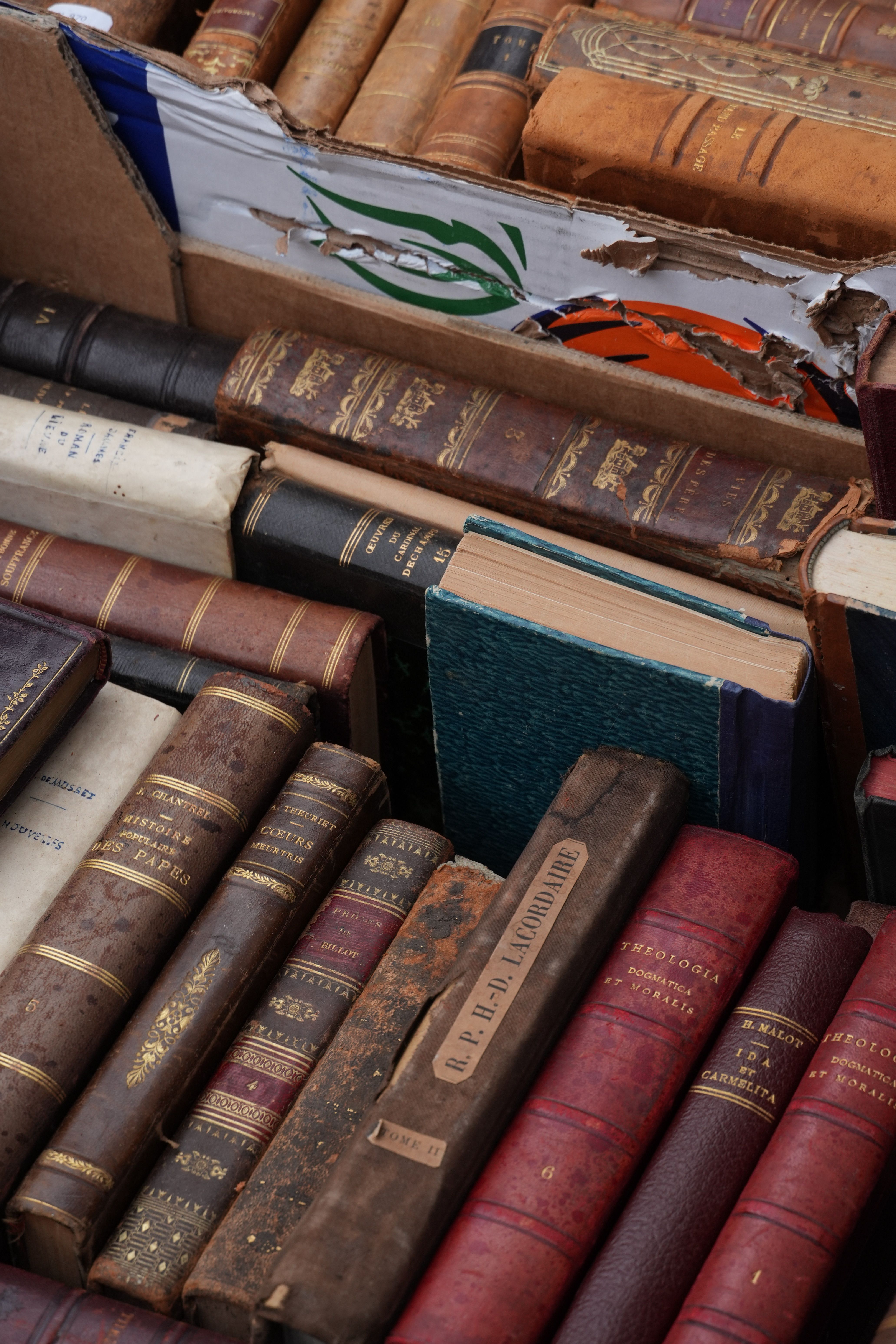 4.000+ Item_classification Bilder und Fotos · Kostenlos Downloaden ...