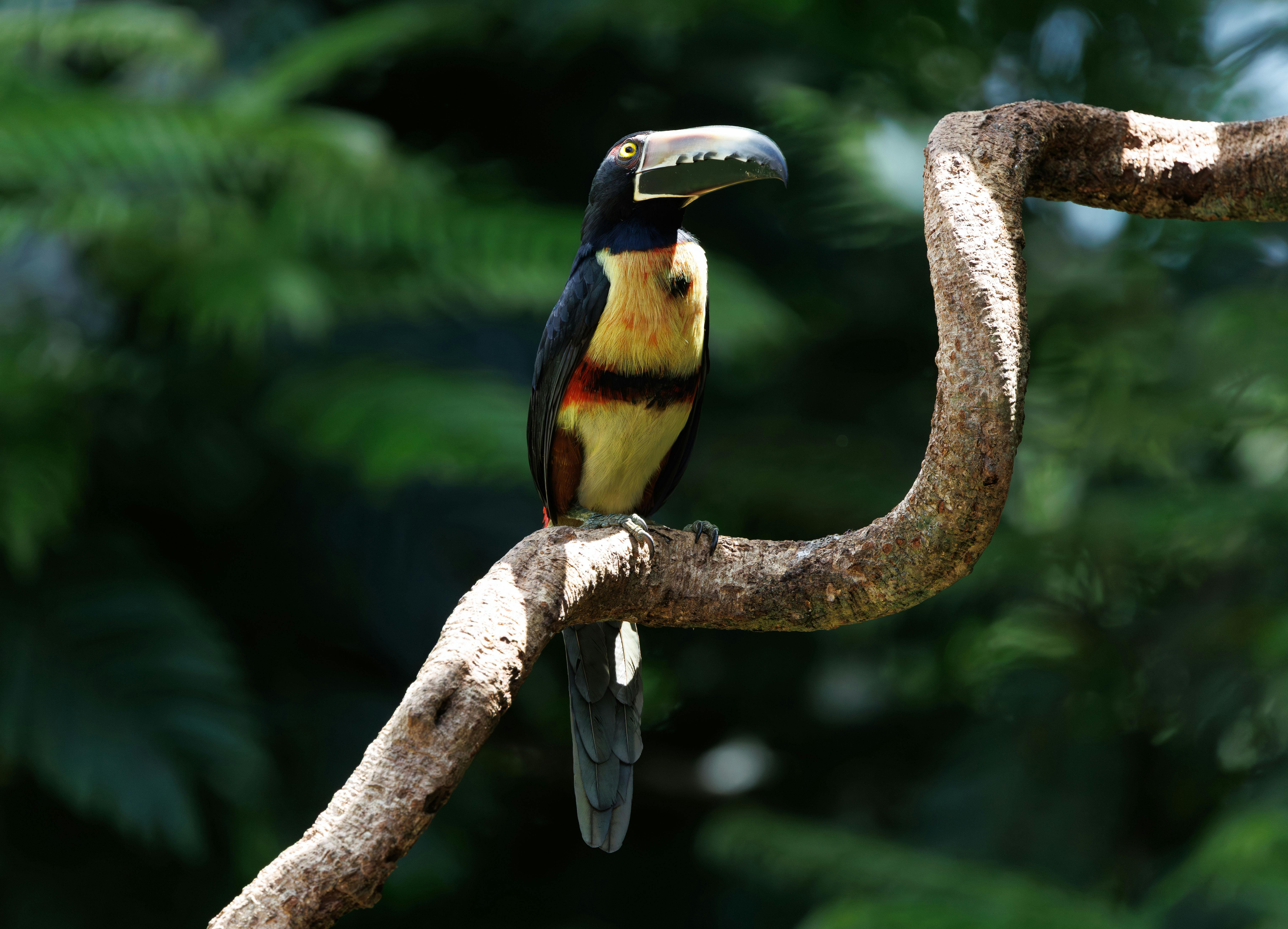 Amazon Alexa Photos, Download The BEST Free Amazon Alexa Stock Photos ...